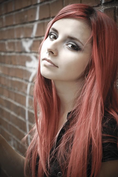 Brick Wall | Scrolller