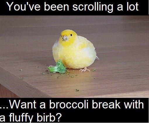 Broccoli borb | Scrolller