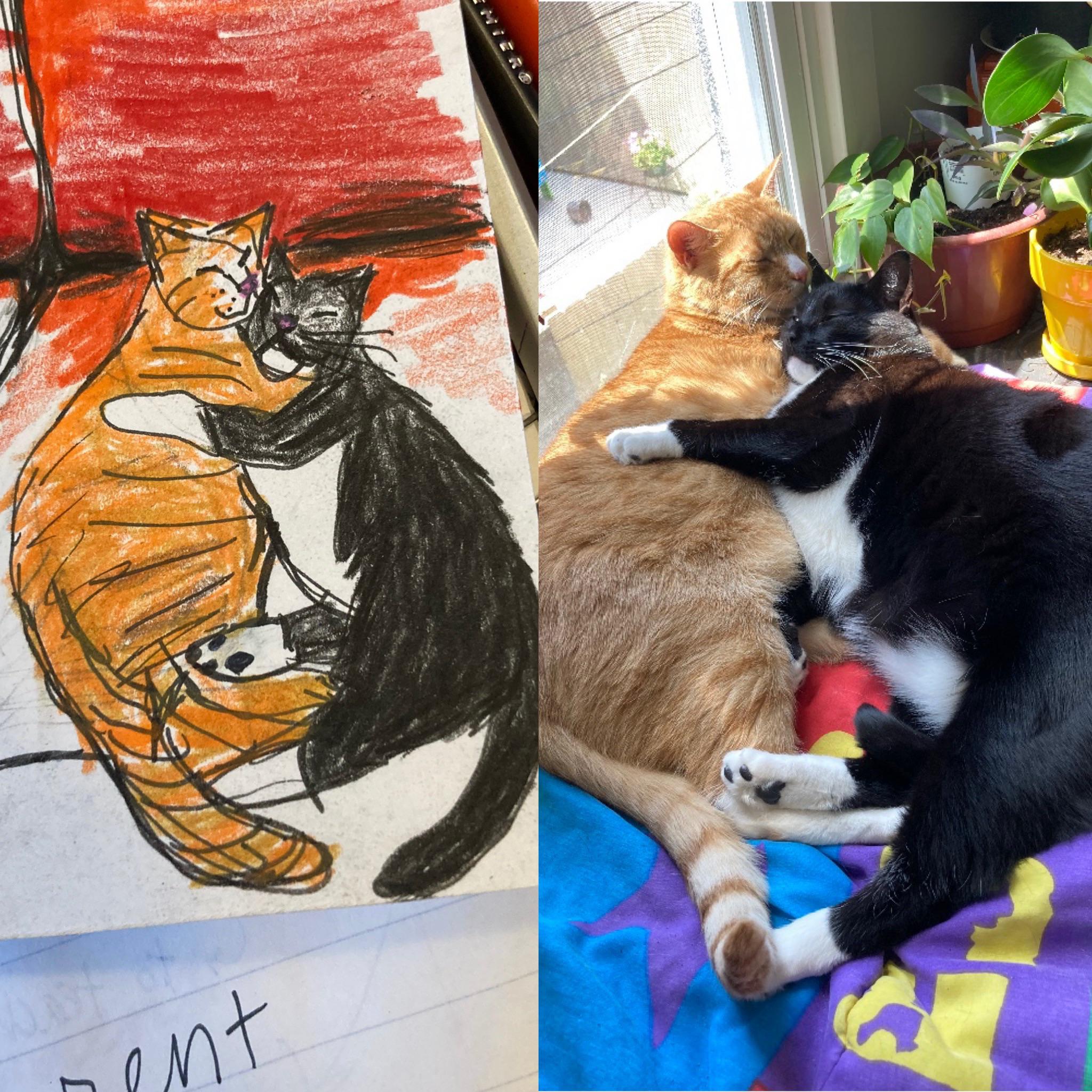 Brothers Who Are Always Cuddling | Scrolller