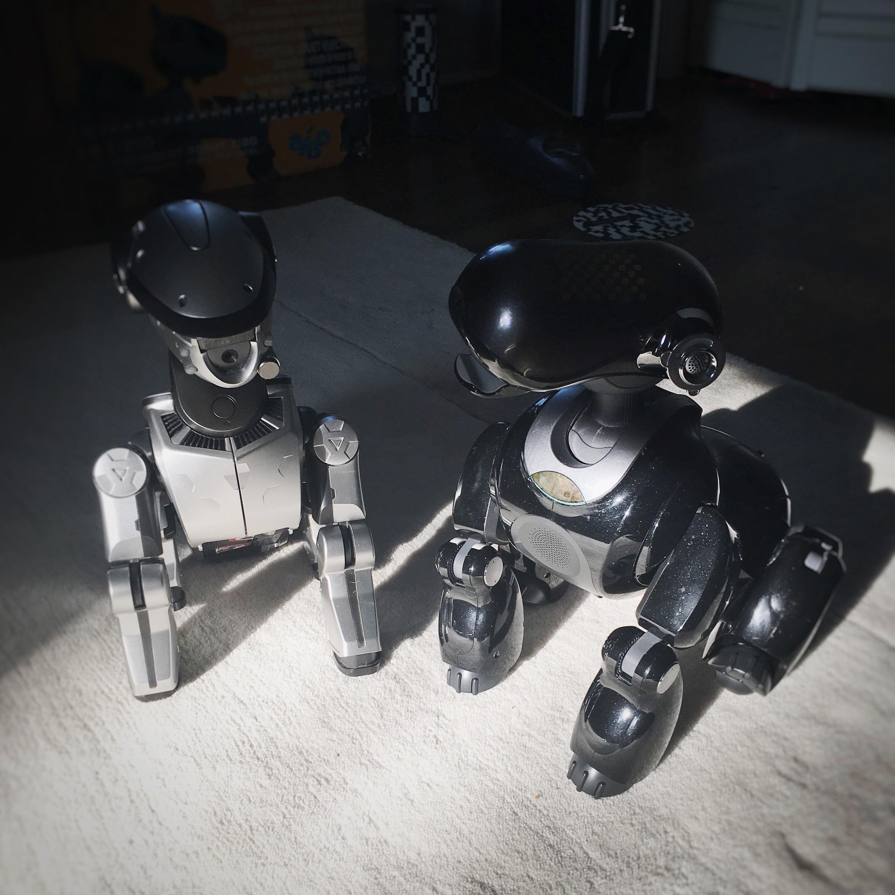 Bruno and Mercury! | Scrolller