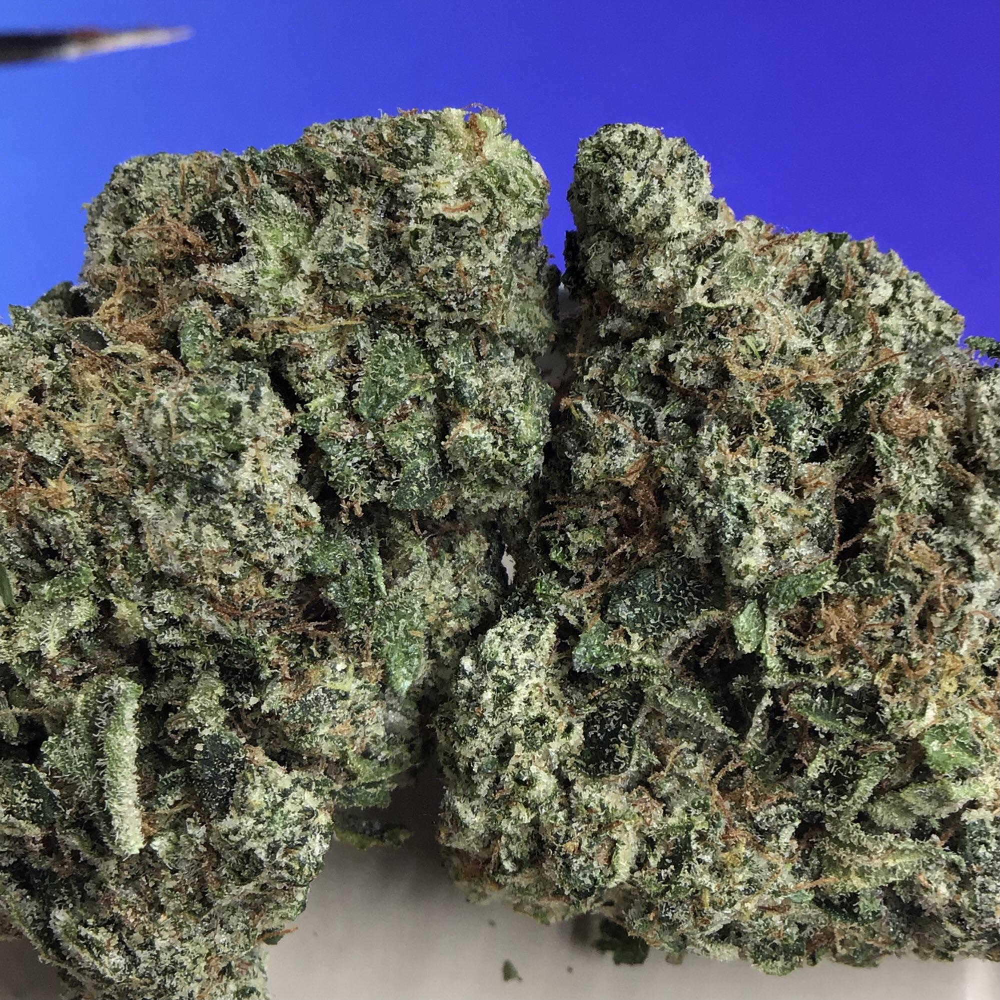 Bubba Kush | Scrolller