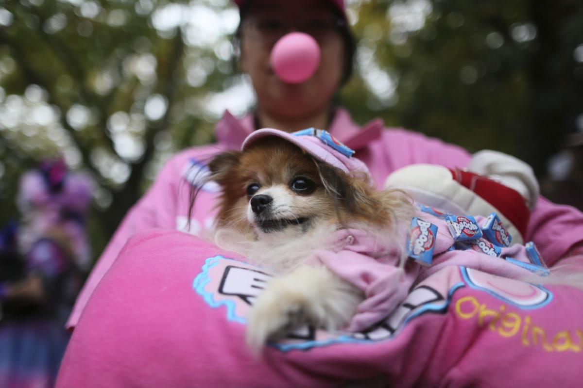 Bubblegum | Scrolller