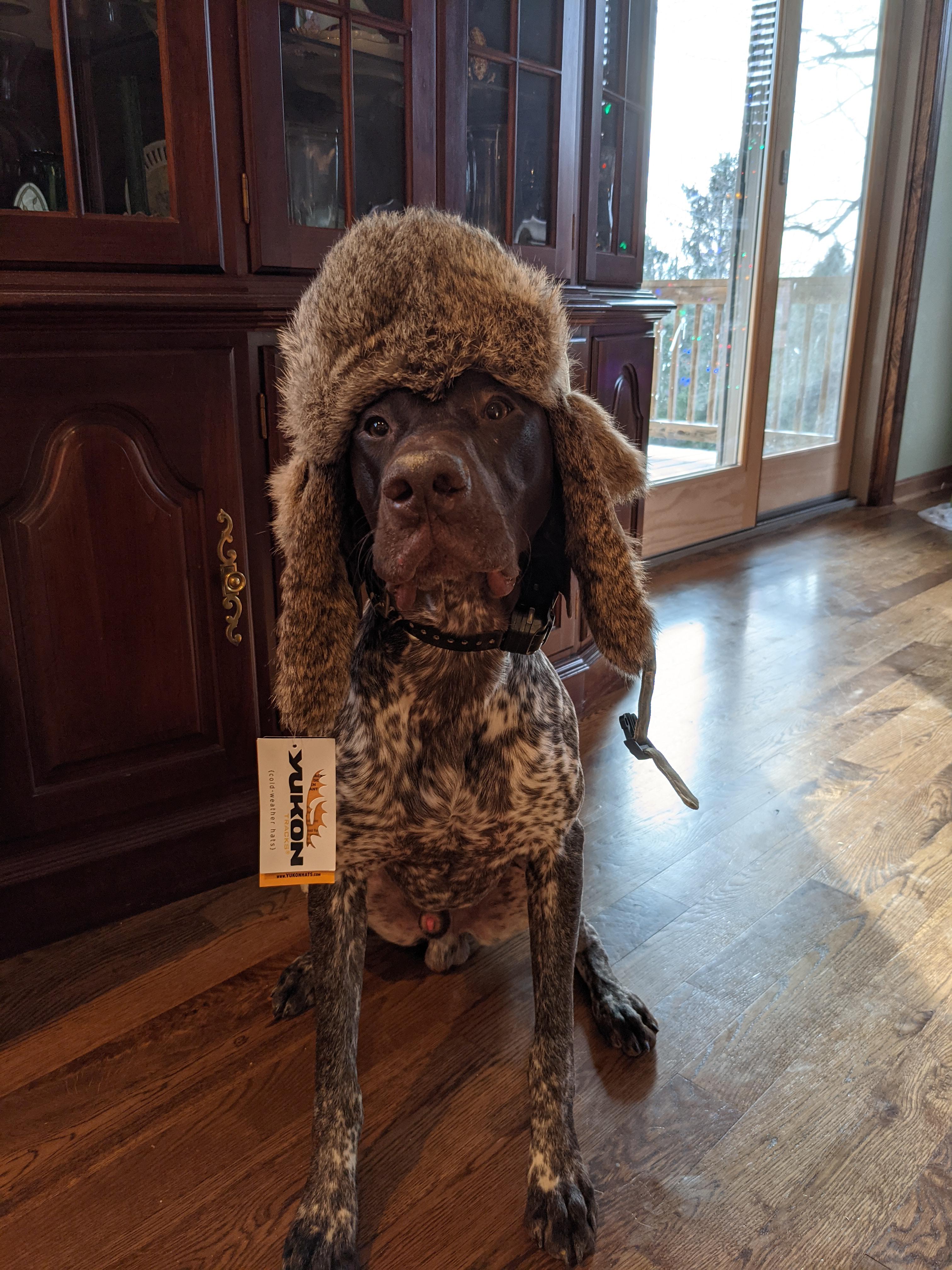 Buckaroo's first hat | Scrolller