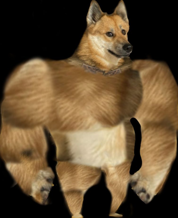 Buff Ceaser has arrived | Scrolller