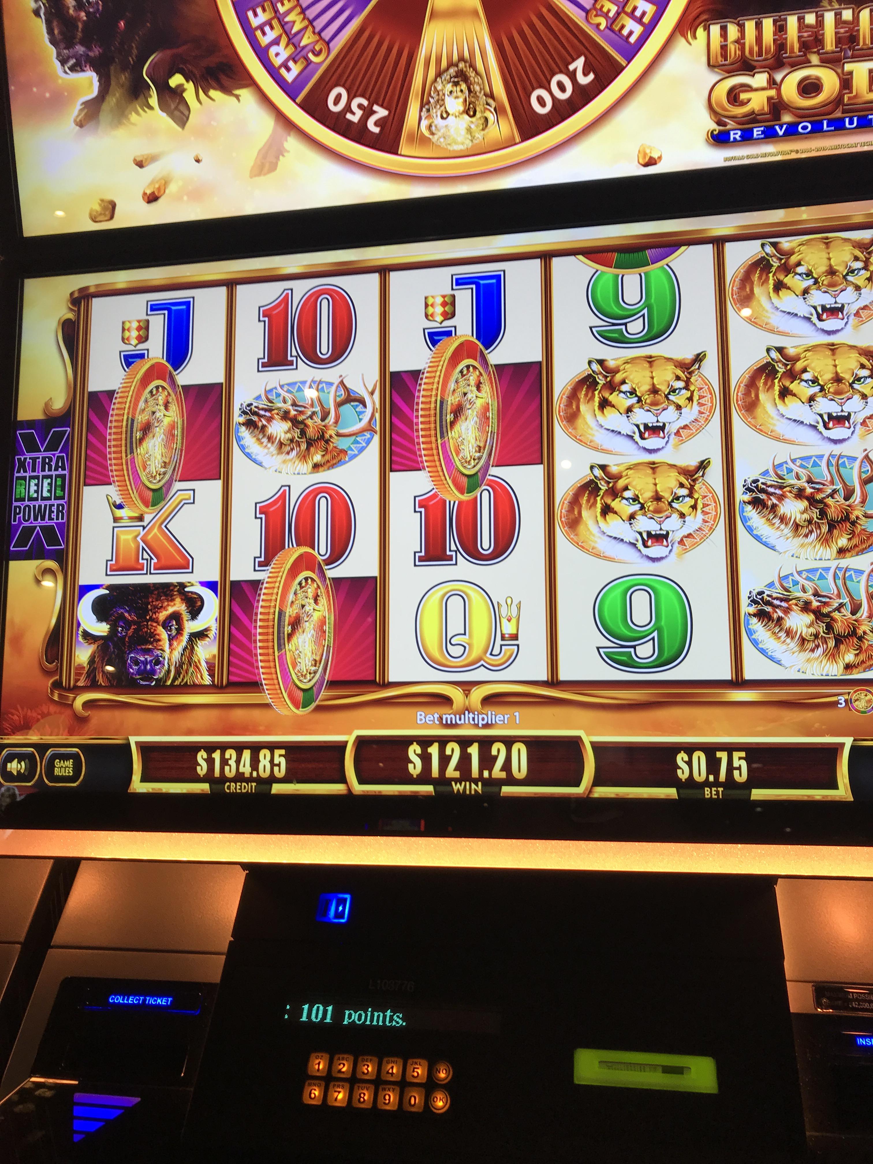 Buffalo! | Scrolller