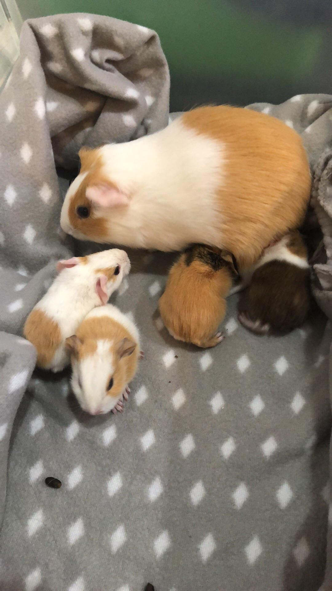 Bun finally had her buns | Scrolller