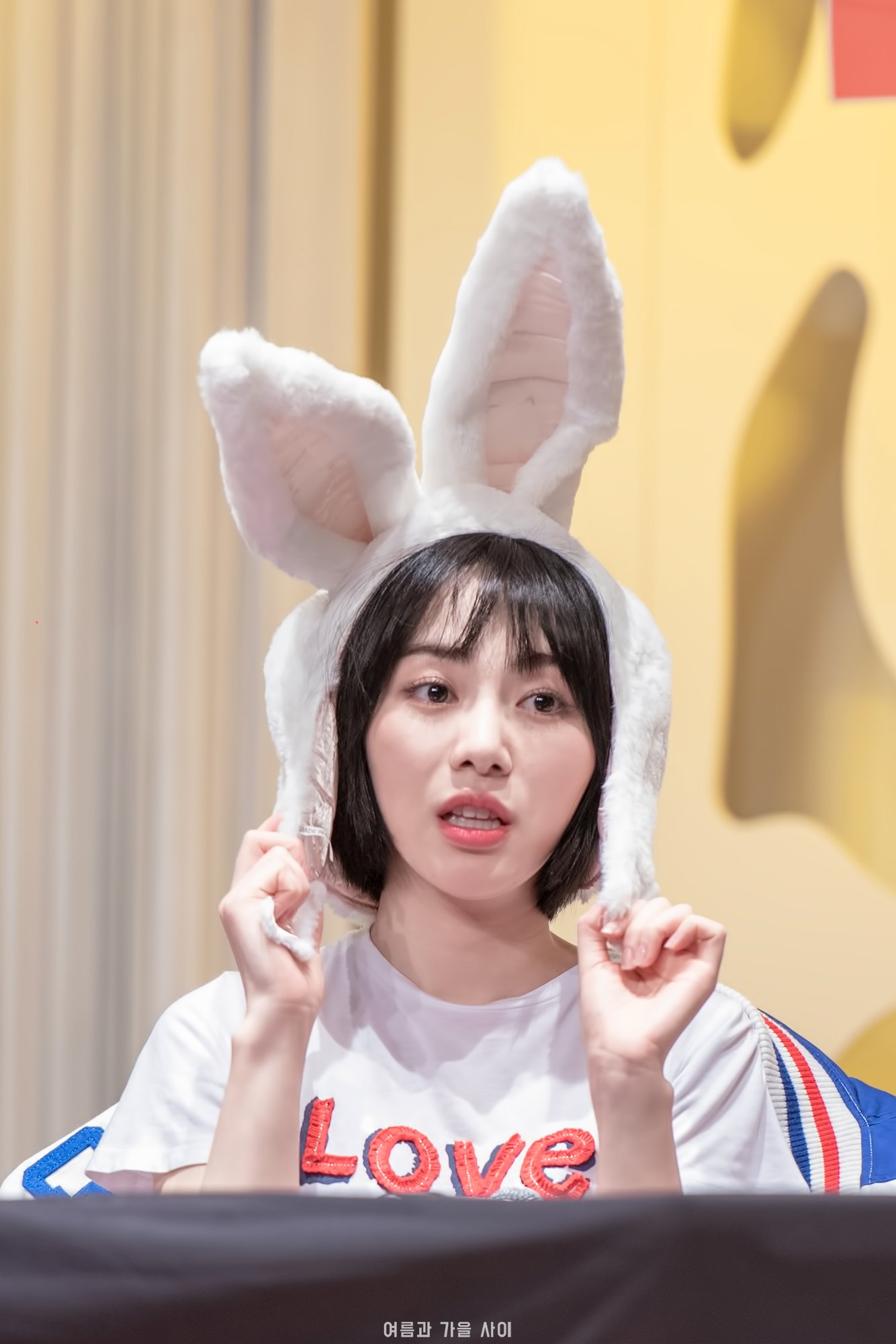 Bunny | Scrolller