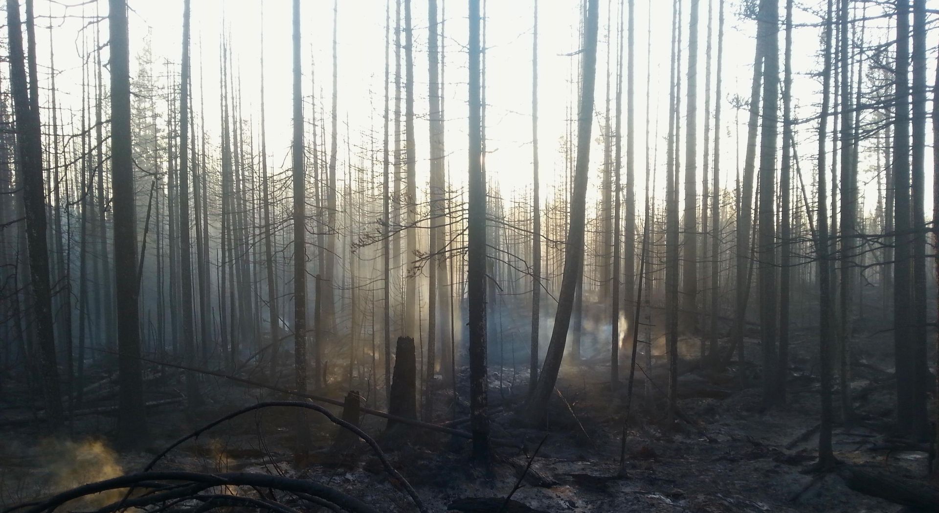 Burnt Over-Flathead NF, MT [OC] [3264 × 1783] | Scrolller