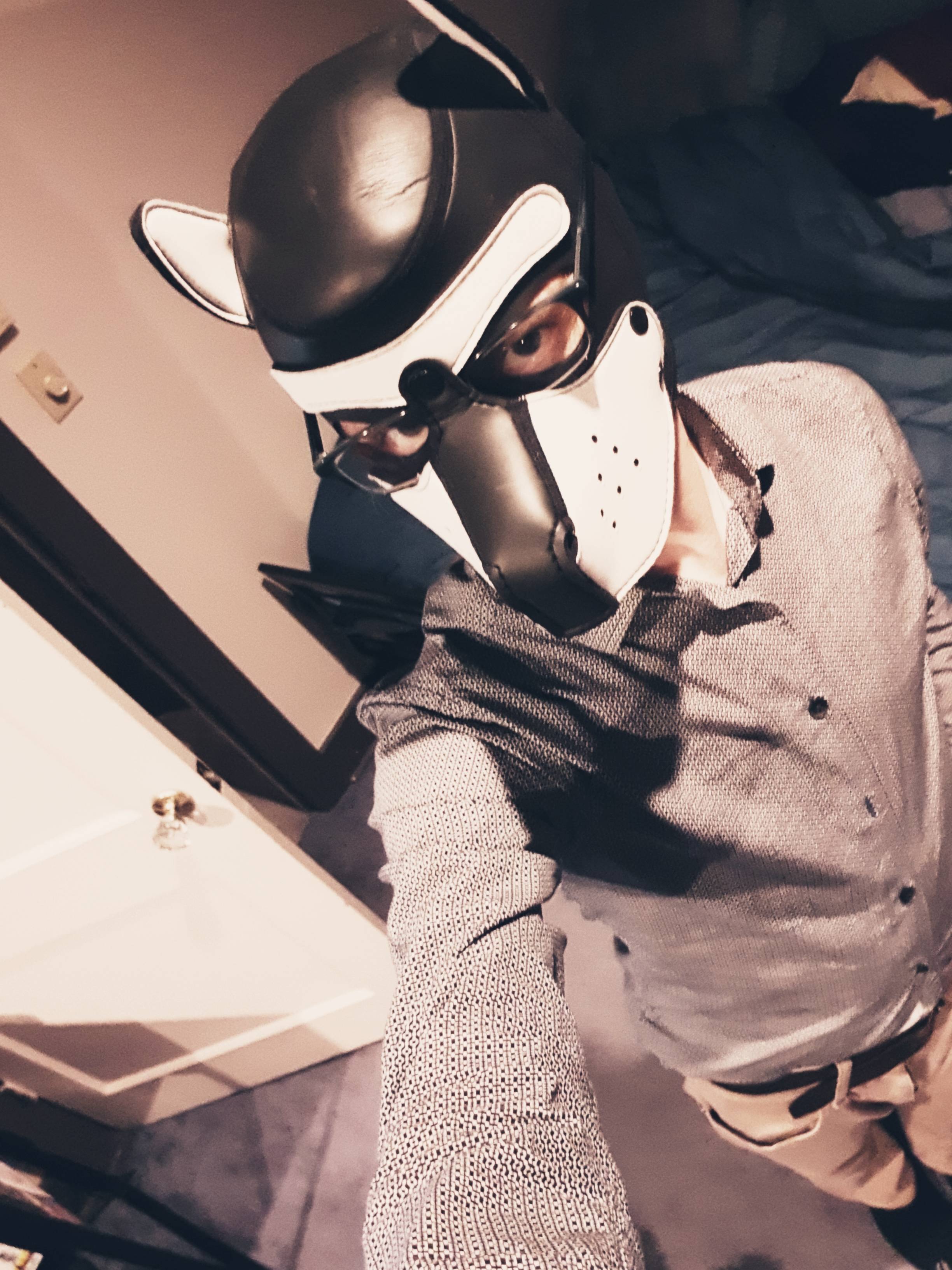 Business doggo | Scrolller