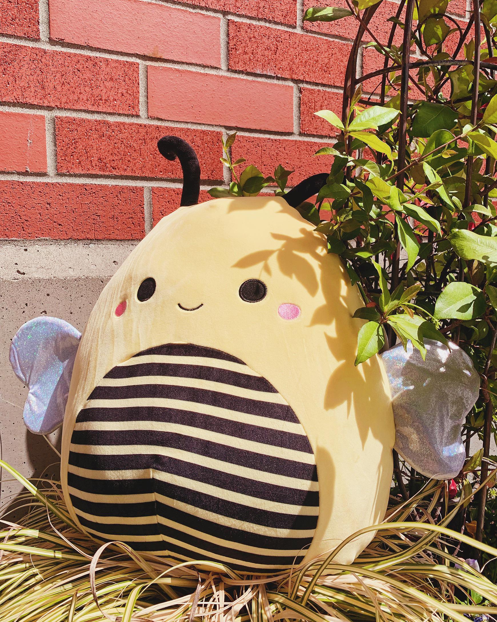 Buzzing bee! ☀️🐝 | Scrolller