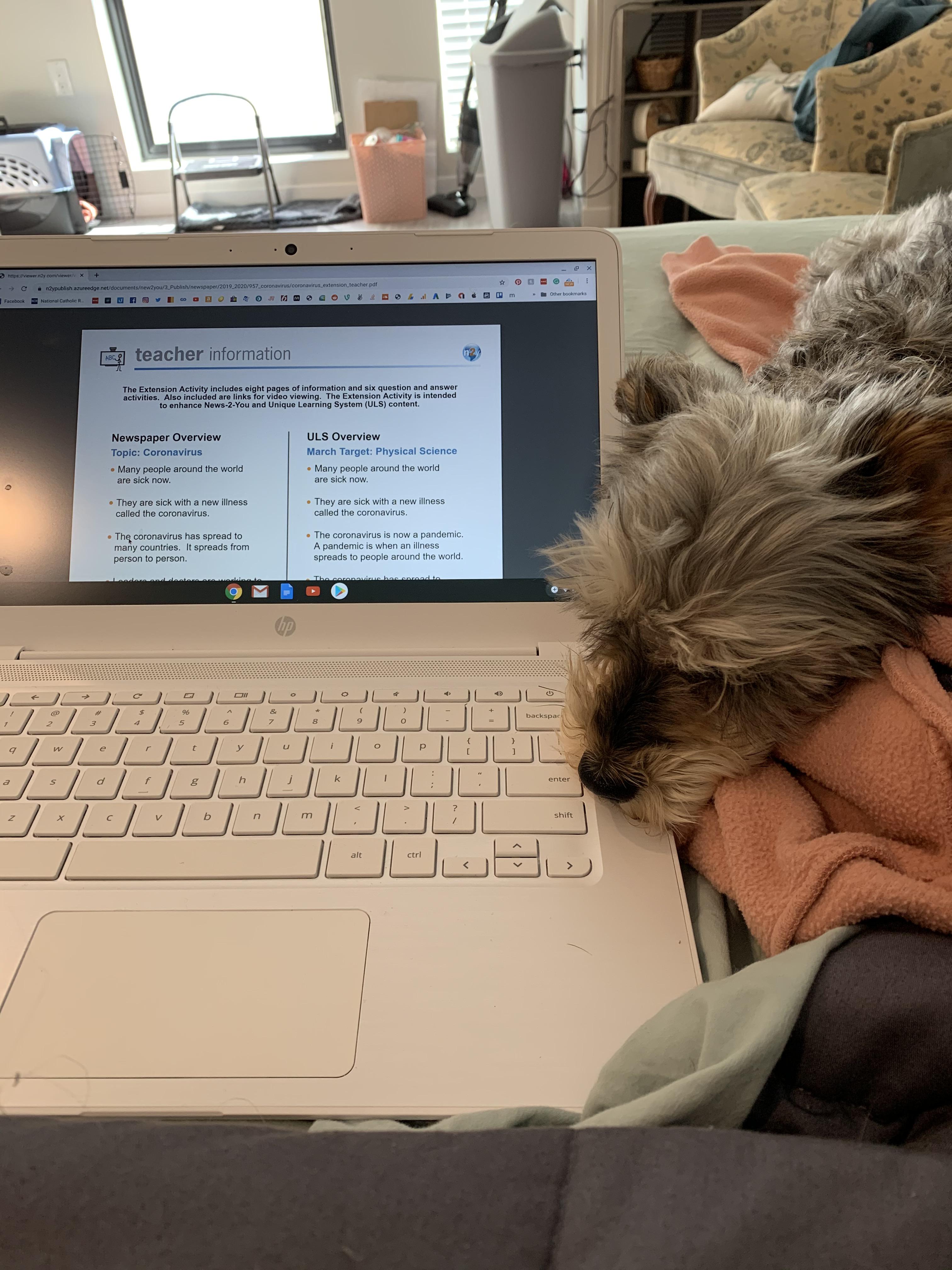 C- coworker, A+ snuggle buddy. | Scrolller