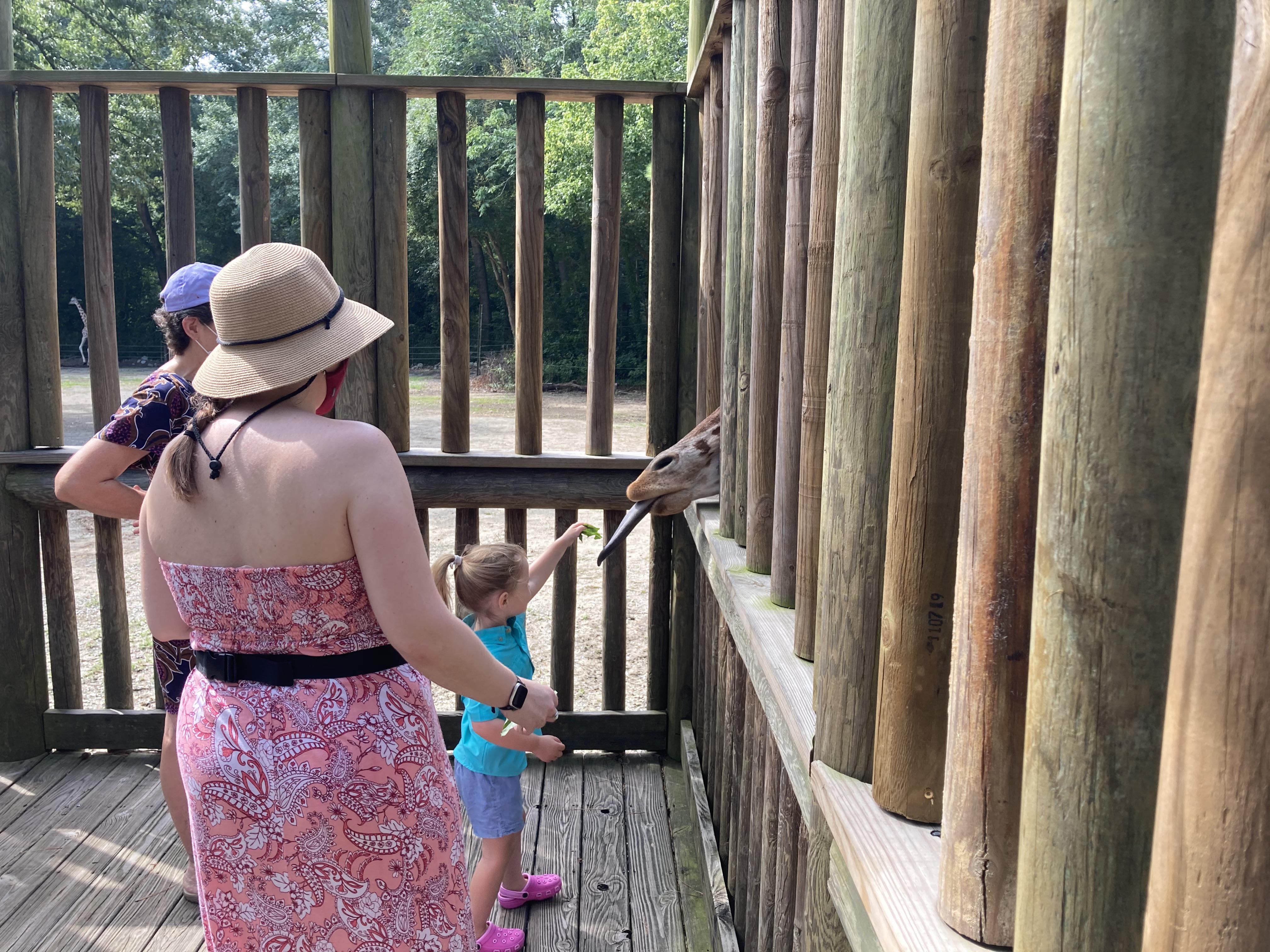 C’mere | Scrolller