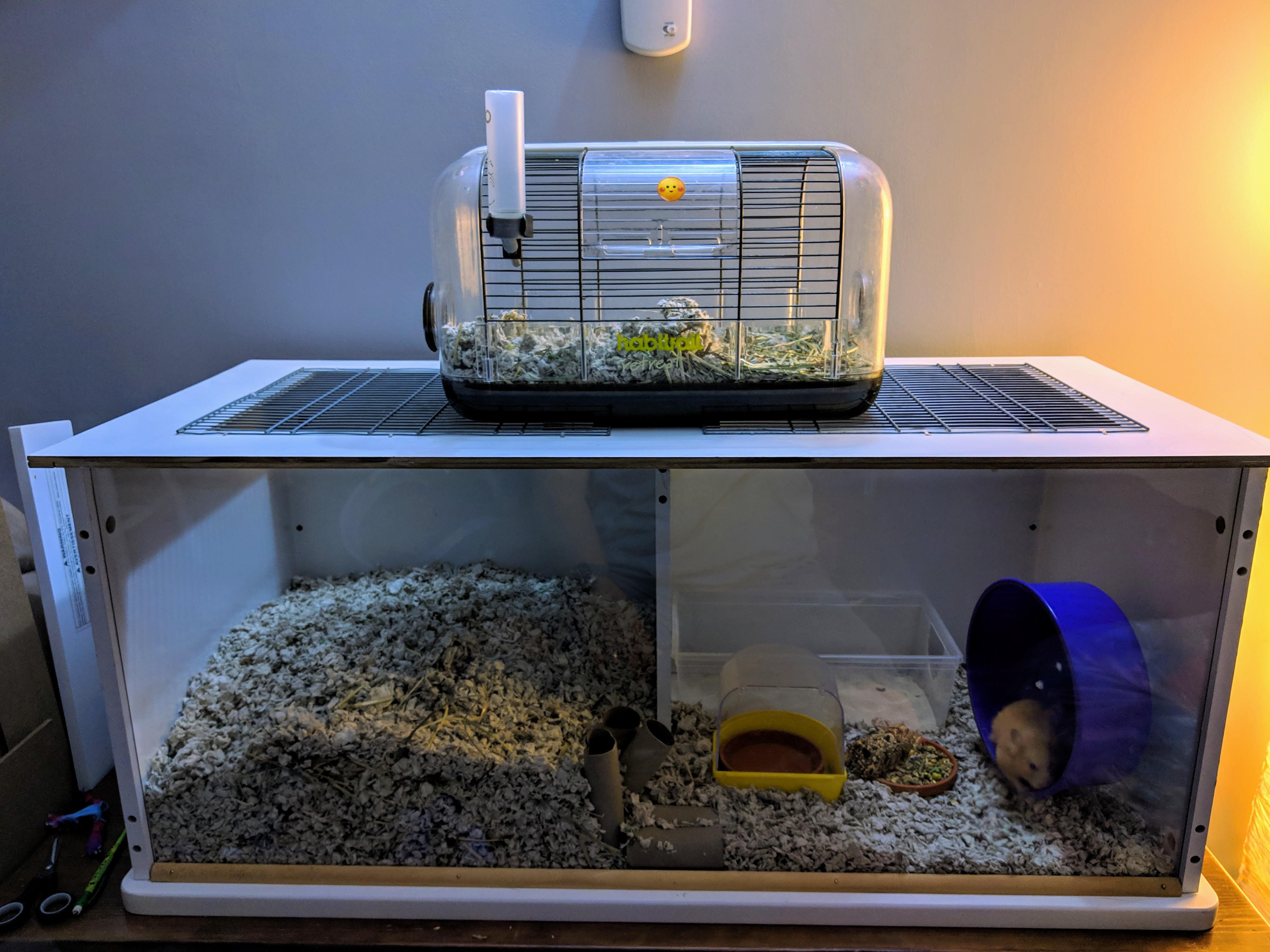 Cage upgrade - DIY | Scrolller