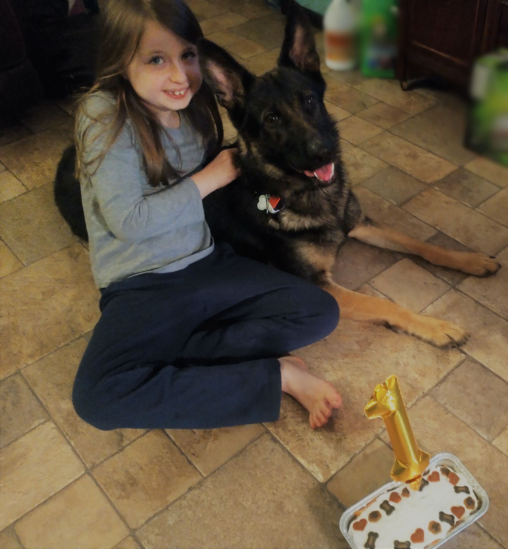 Cake day for our good girl, Zelda! (seen here with her partner in crime!) | Scrolller