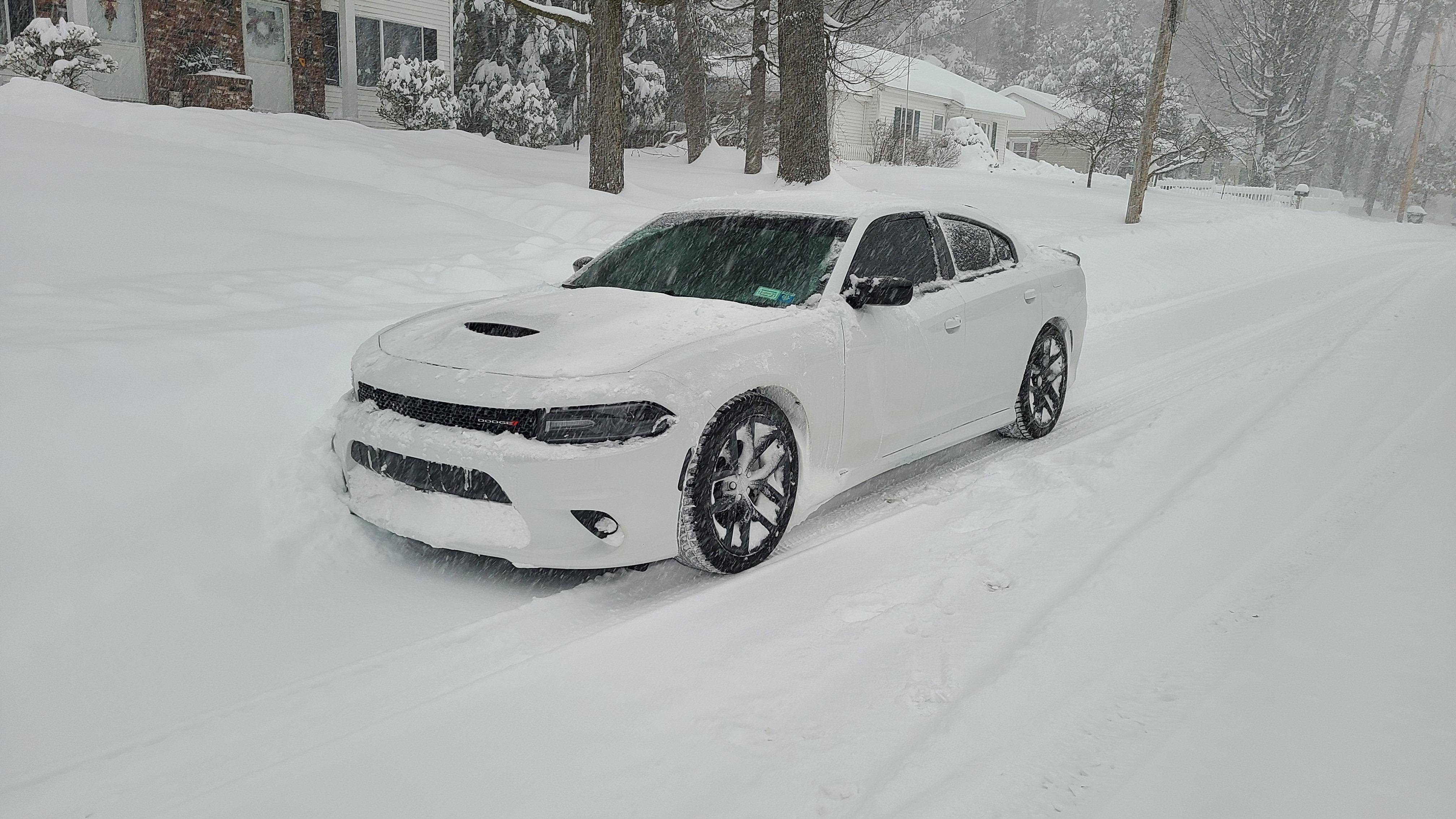 Camo Wrap | Scrolller