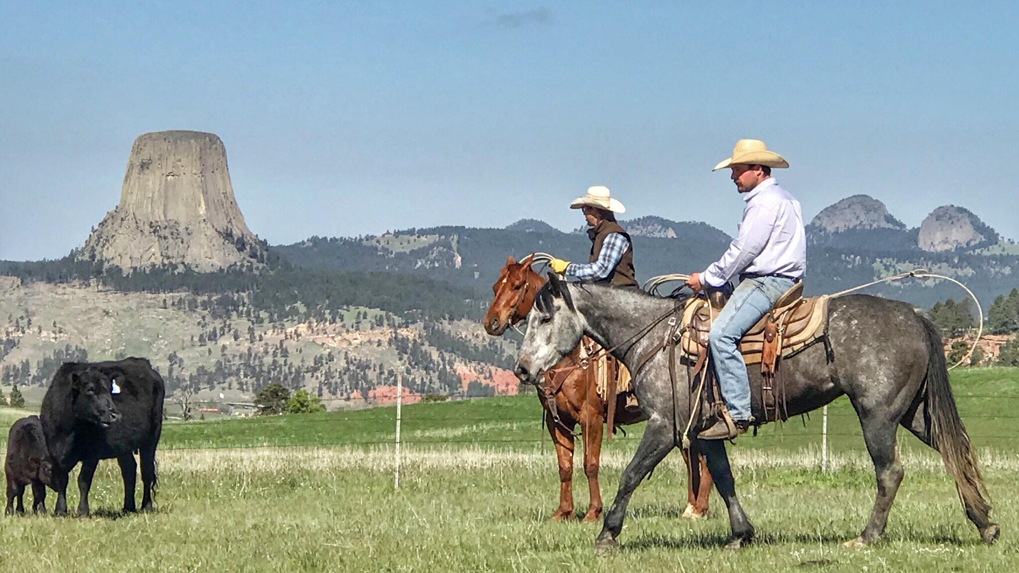 Campstool Ranch at the base of Devil’s Tower (Blockchain Cattle Branding) | Scrolller