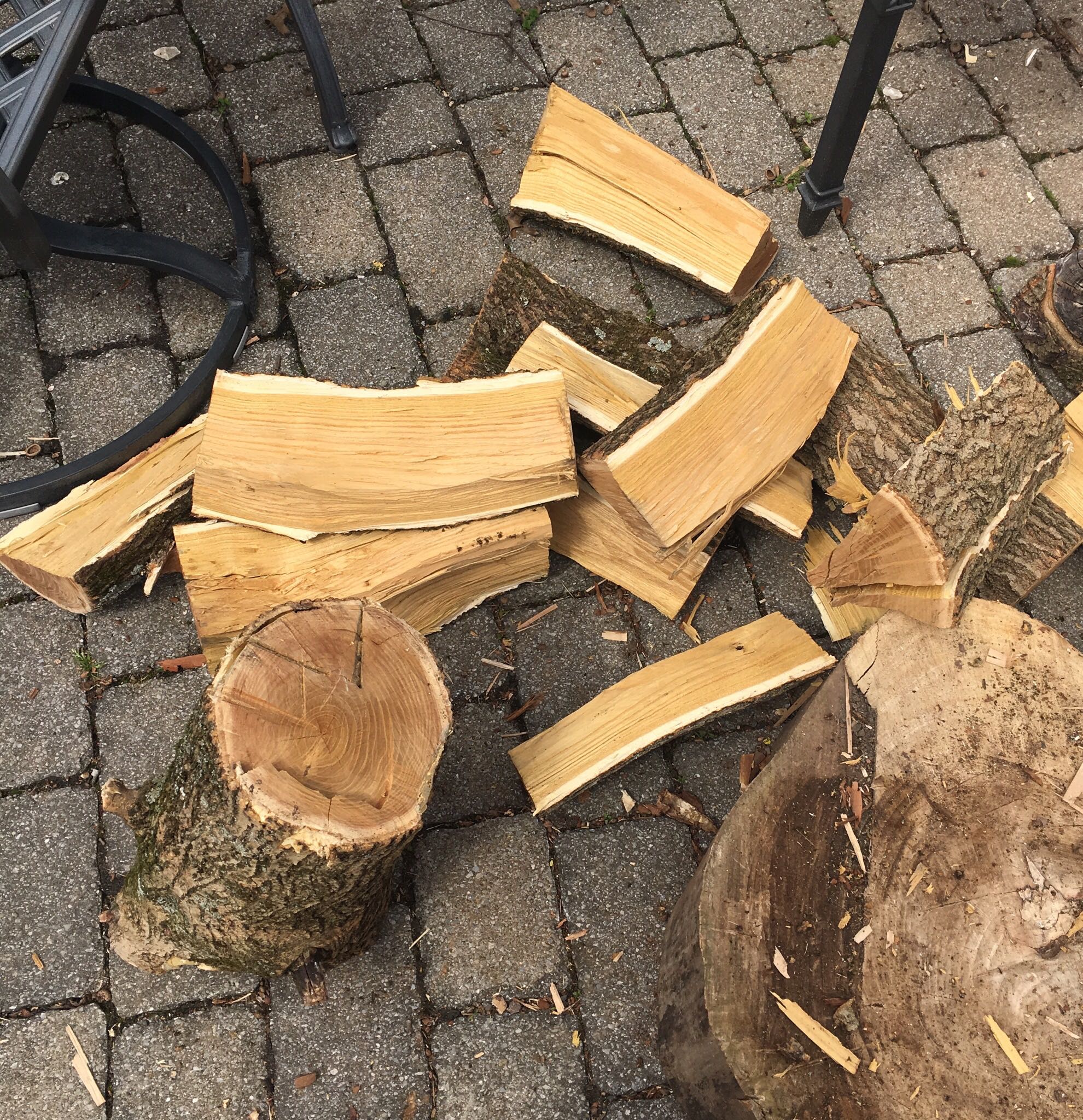 Can anyone identify this please? Not sure if this is good firewood or not. Thanks! | Scrolller