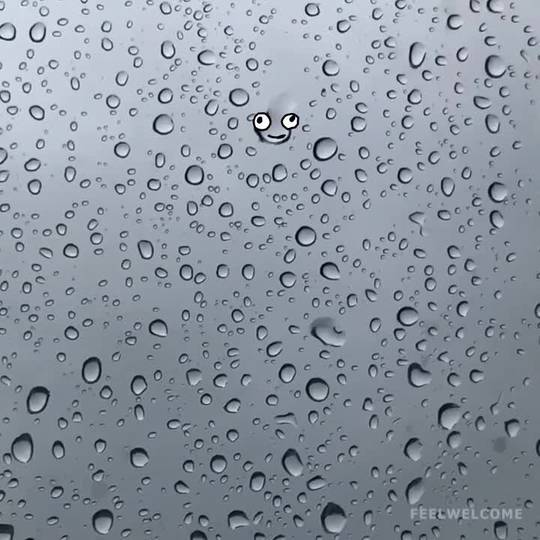 Cannibal Raindrop [OC] | Scrolller