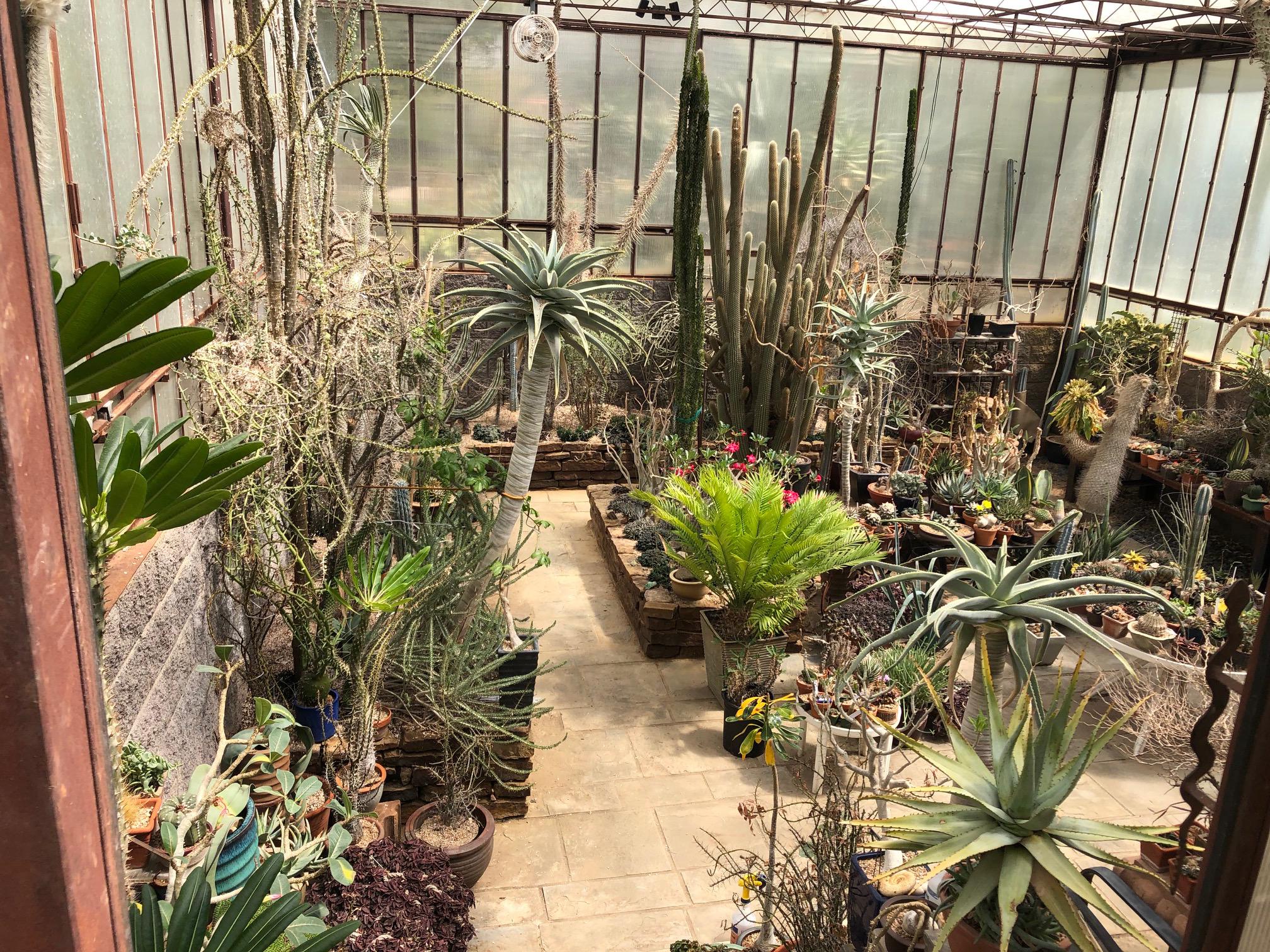 My greenhouse | Scrolller