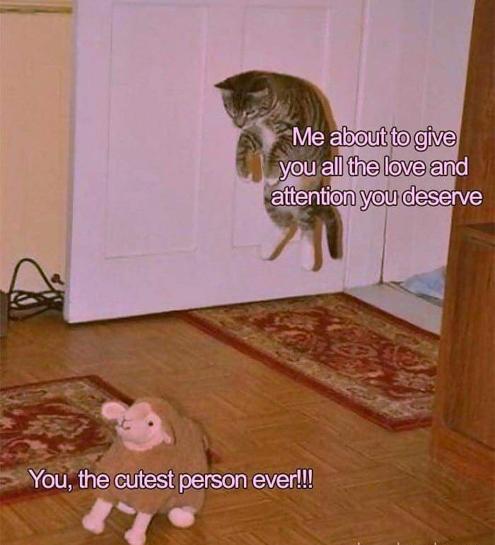 Can't leave Bae alone | Scrolller