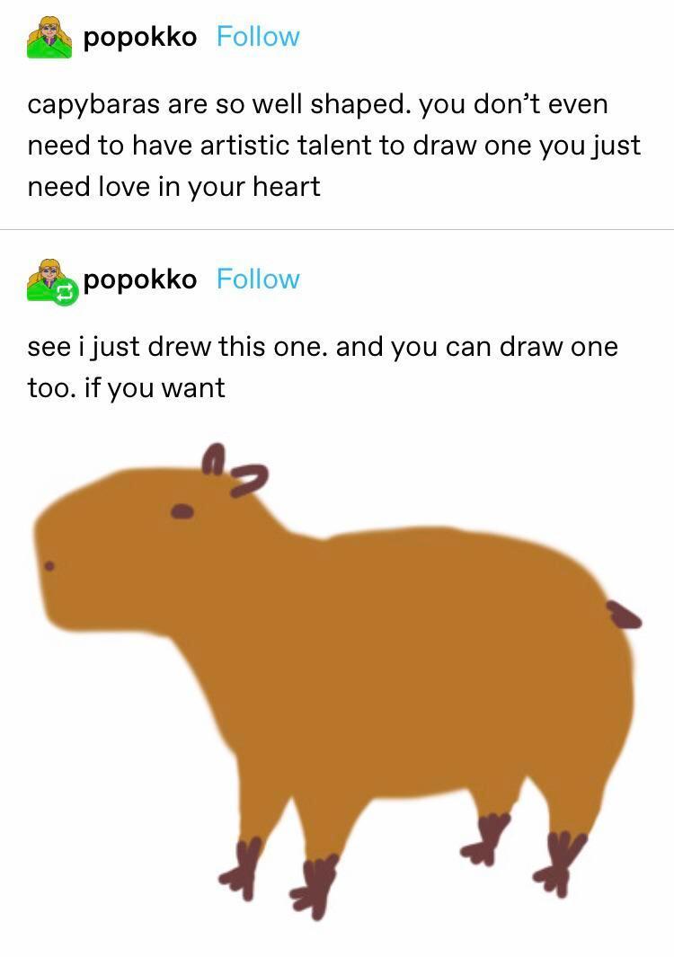 Capybaras | Scrolller