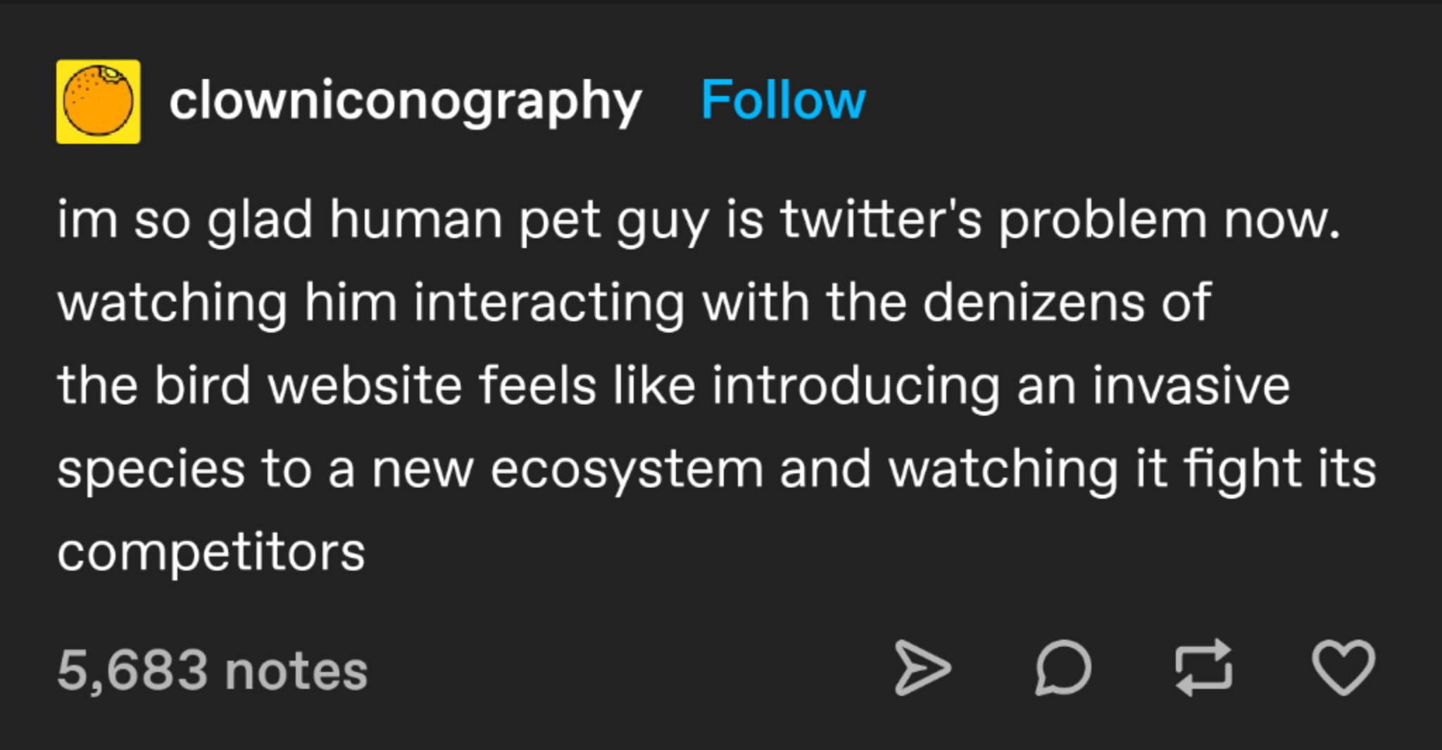 Case Study | Scrolller