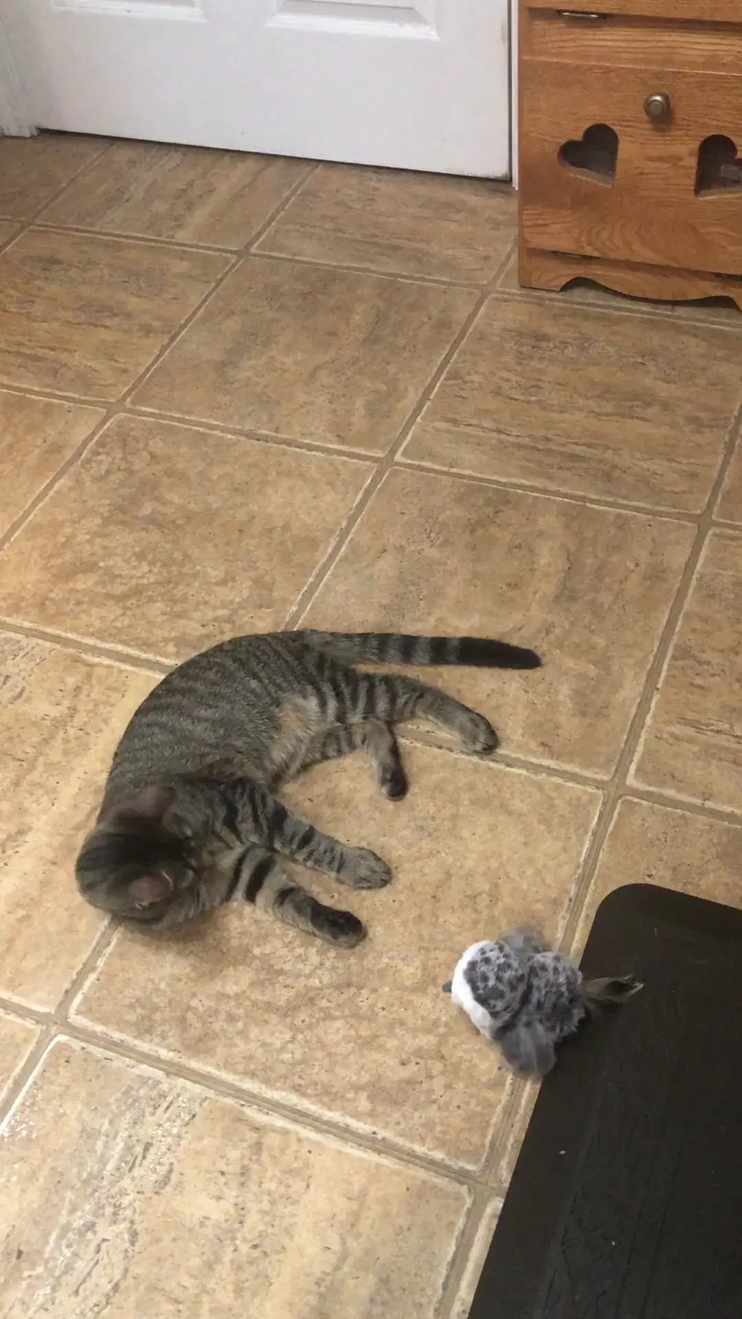 Casually training | Scrolller