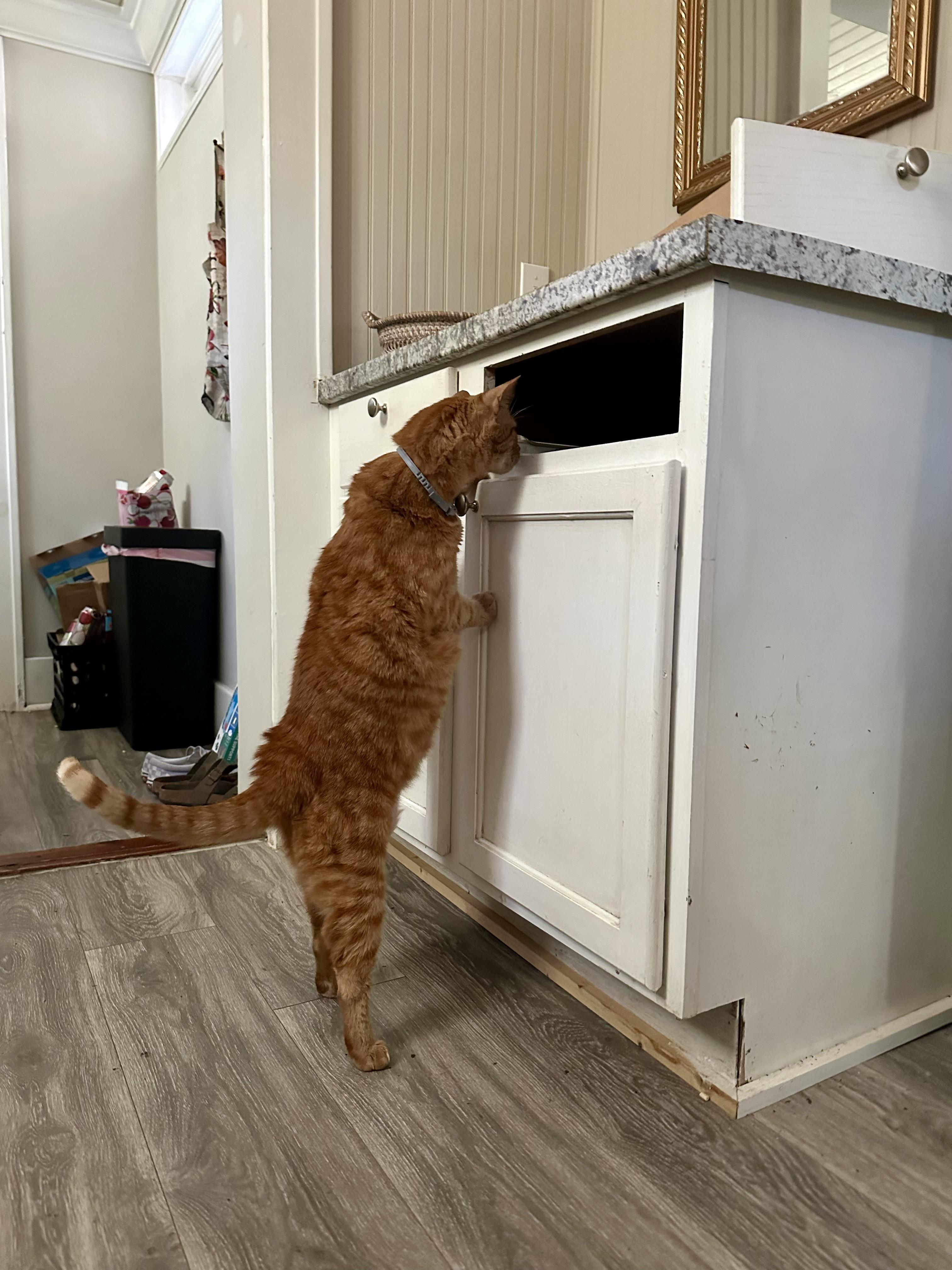 He has discovered a new portal | Scrolller