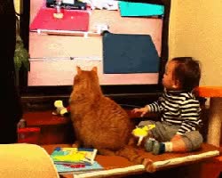 Cat and baby watch TV | Scrolller