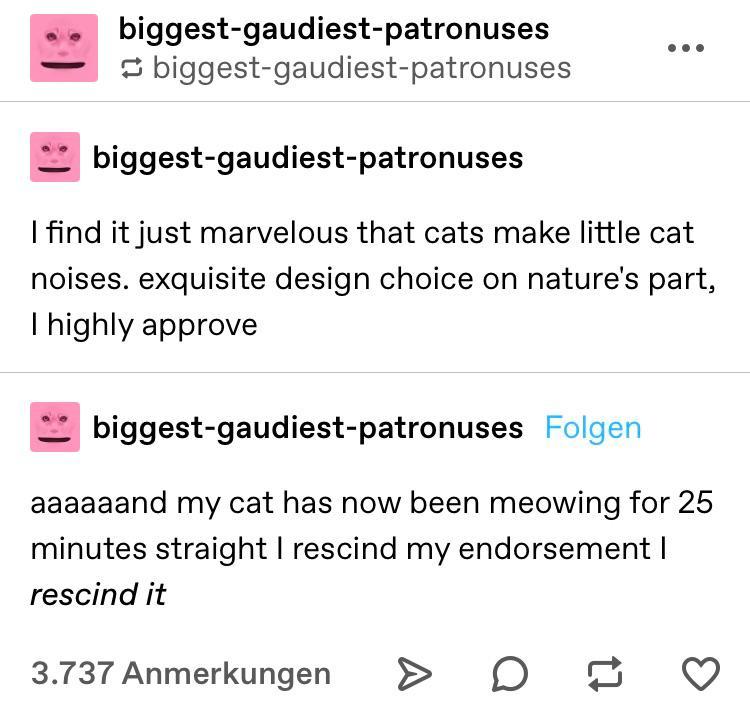 Cat noises are a hit or miss | Scrolller