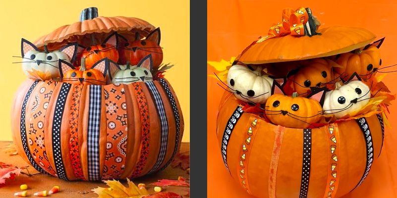 Cats Pumpkin - and I won! | Scrolller