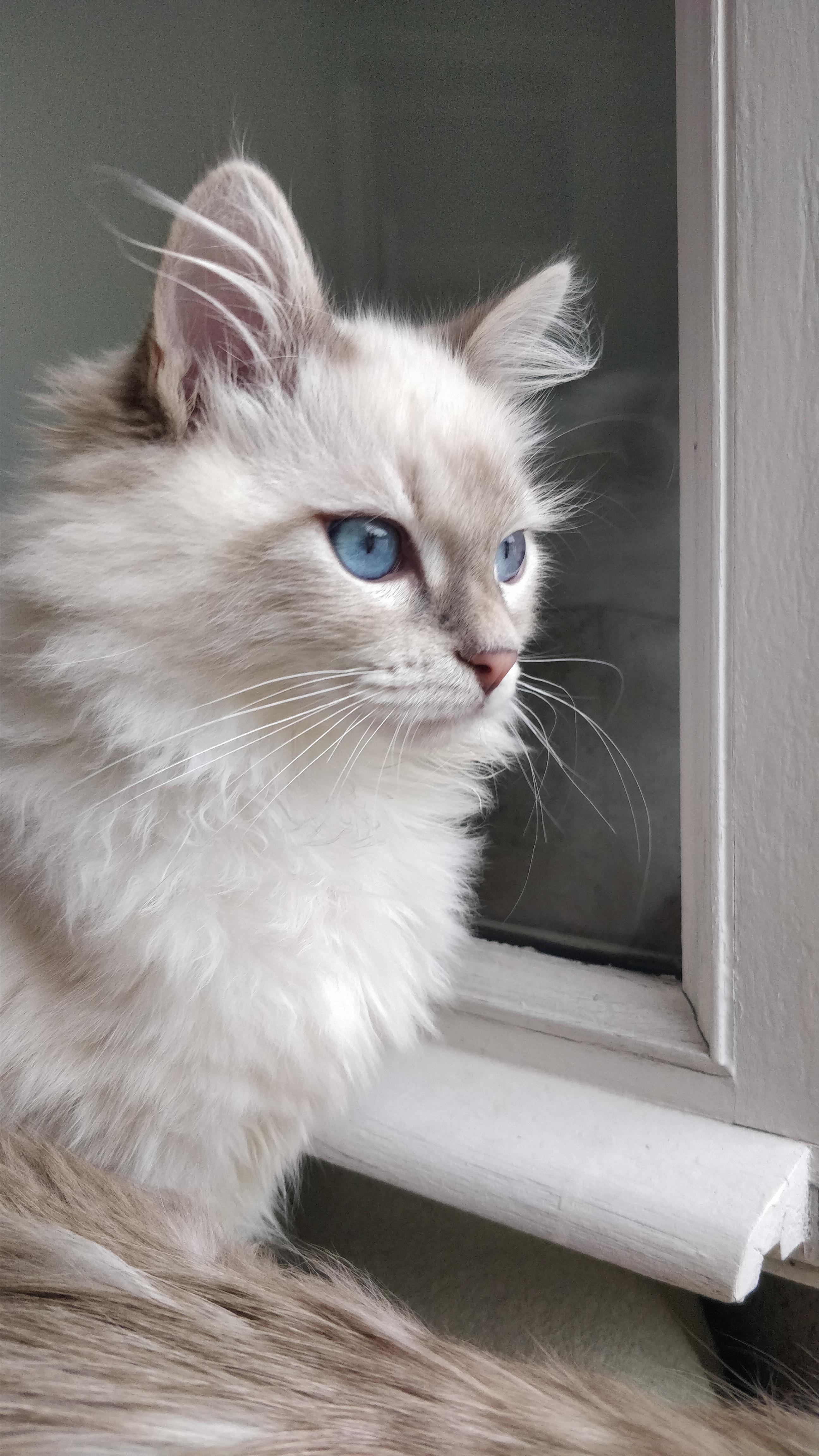 Caught spying on the neighbors once again | Scrolller