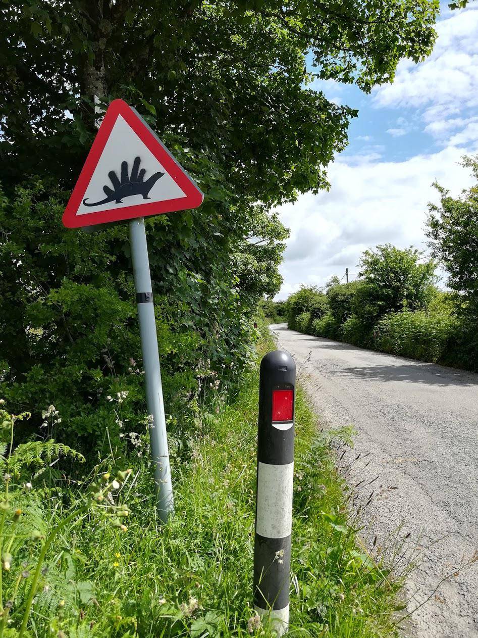 Caution: Dinosaurs Crossing | Scrolller