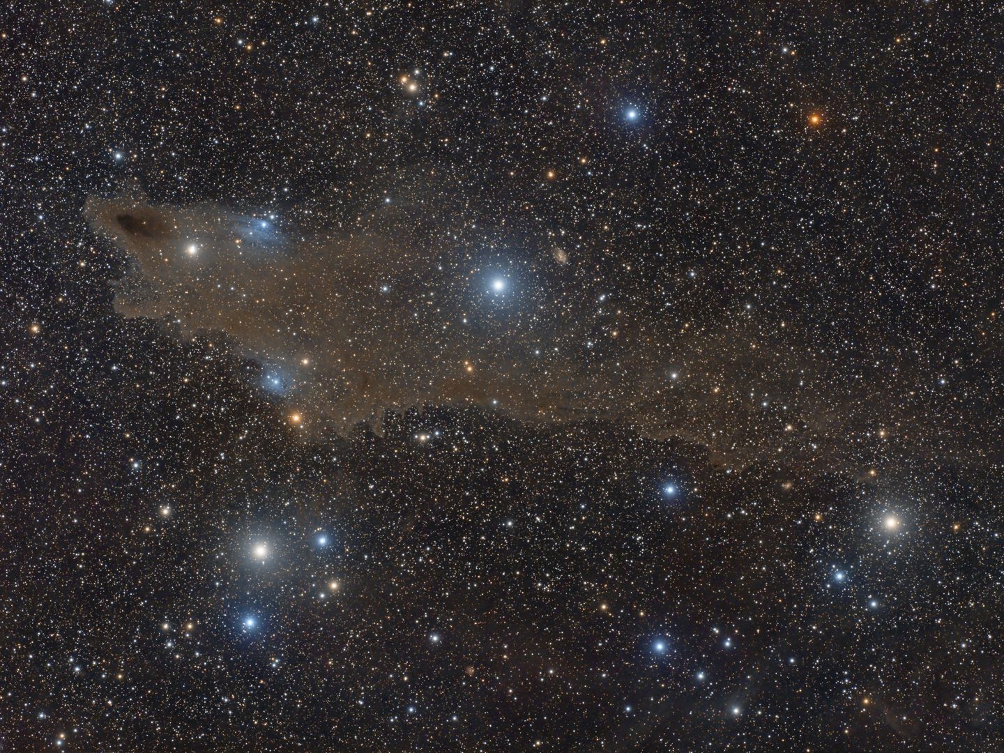 Celestial Shark [OS][OC] | Scrolller