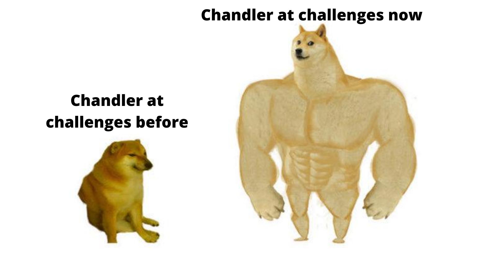 Chandler | Scrolller