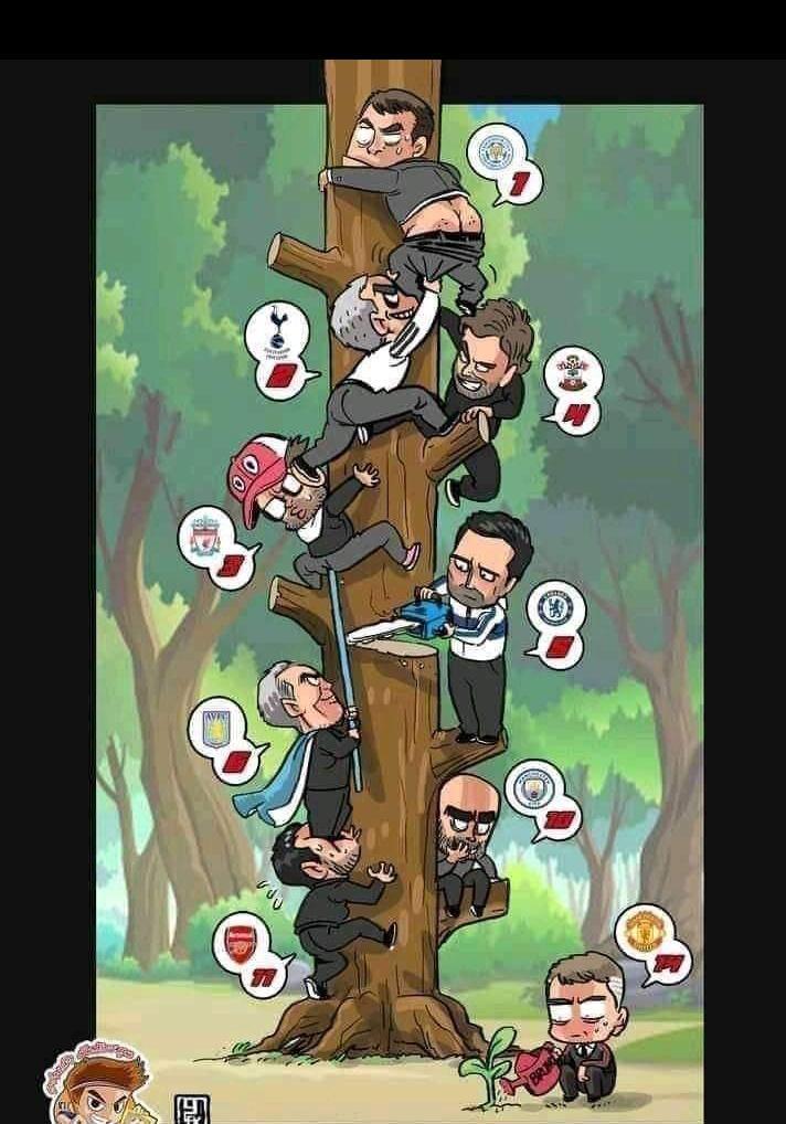 Chaos is a Ladder | Scrolller