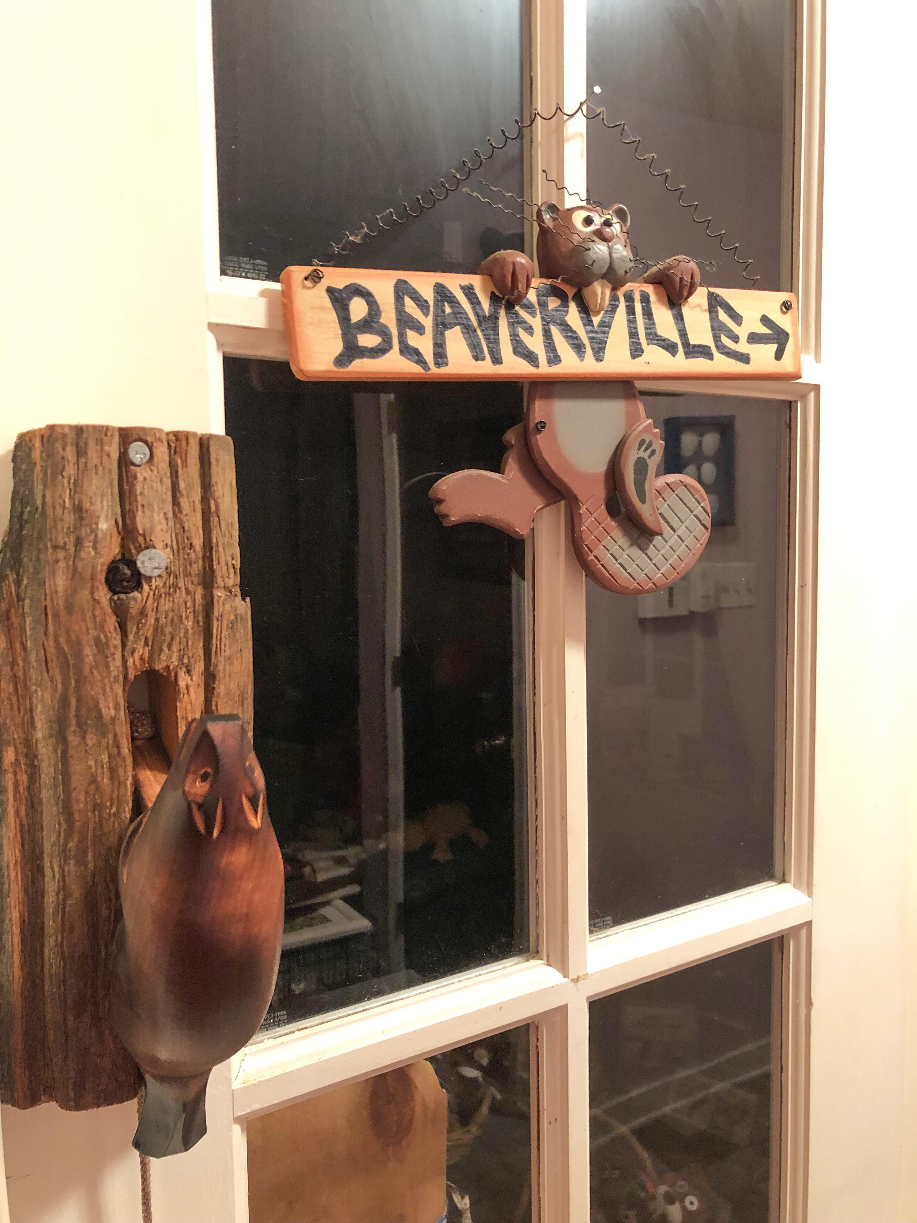 Check out Beaverville-my Beaver collection! | Scrolller