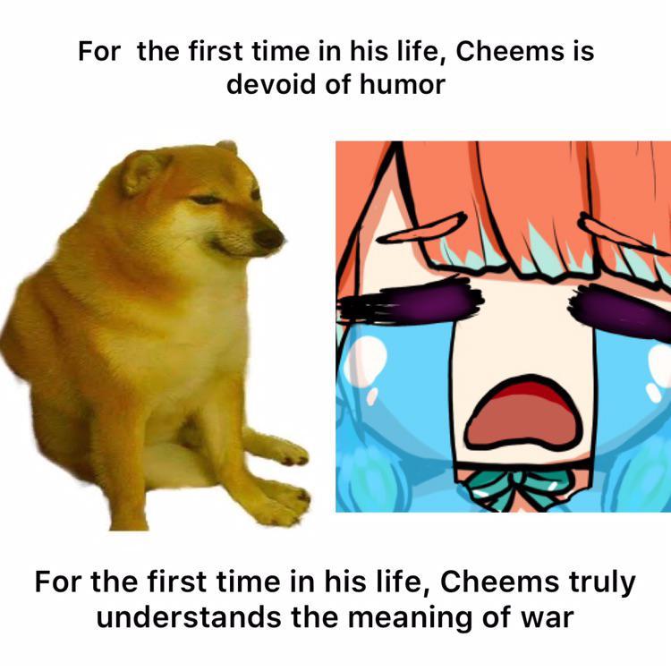 Cheems had never seen such bullshit before | Scrolller