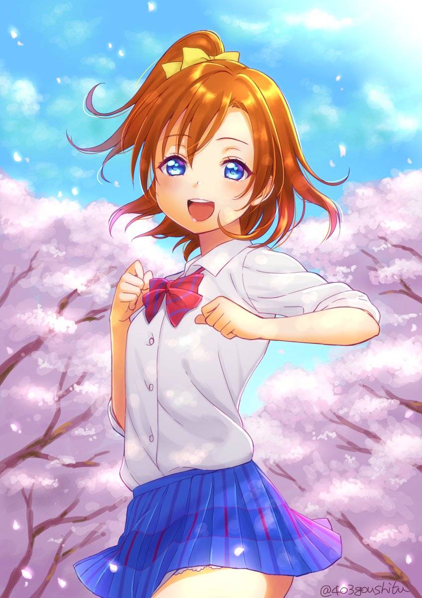 Cherry blossoms | Scrolller