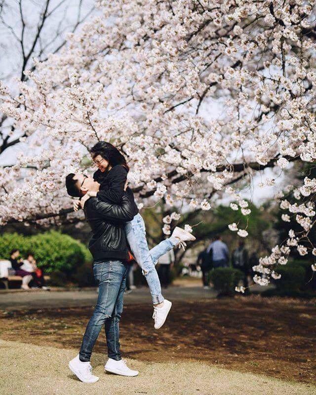 Cherry Blossoms | Scrolller