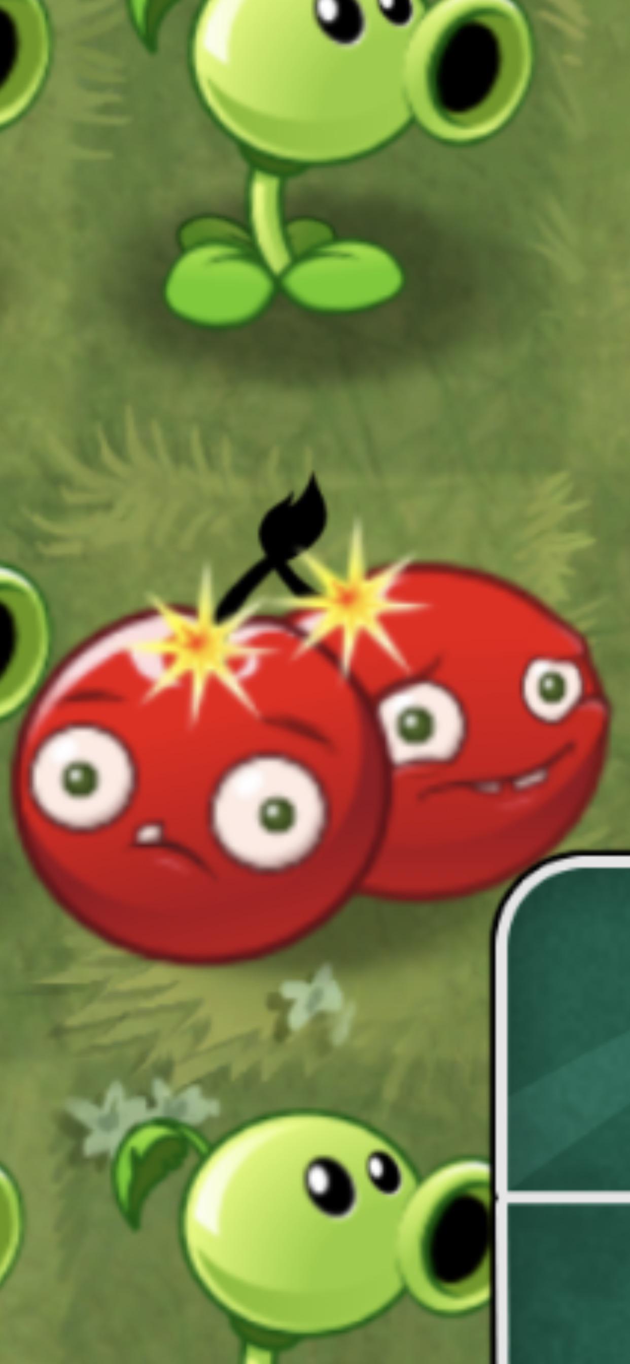 Cherry Bomb before it explodes. | Scrolller