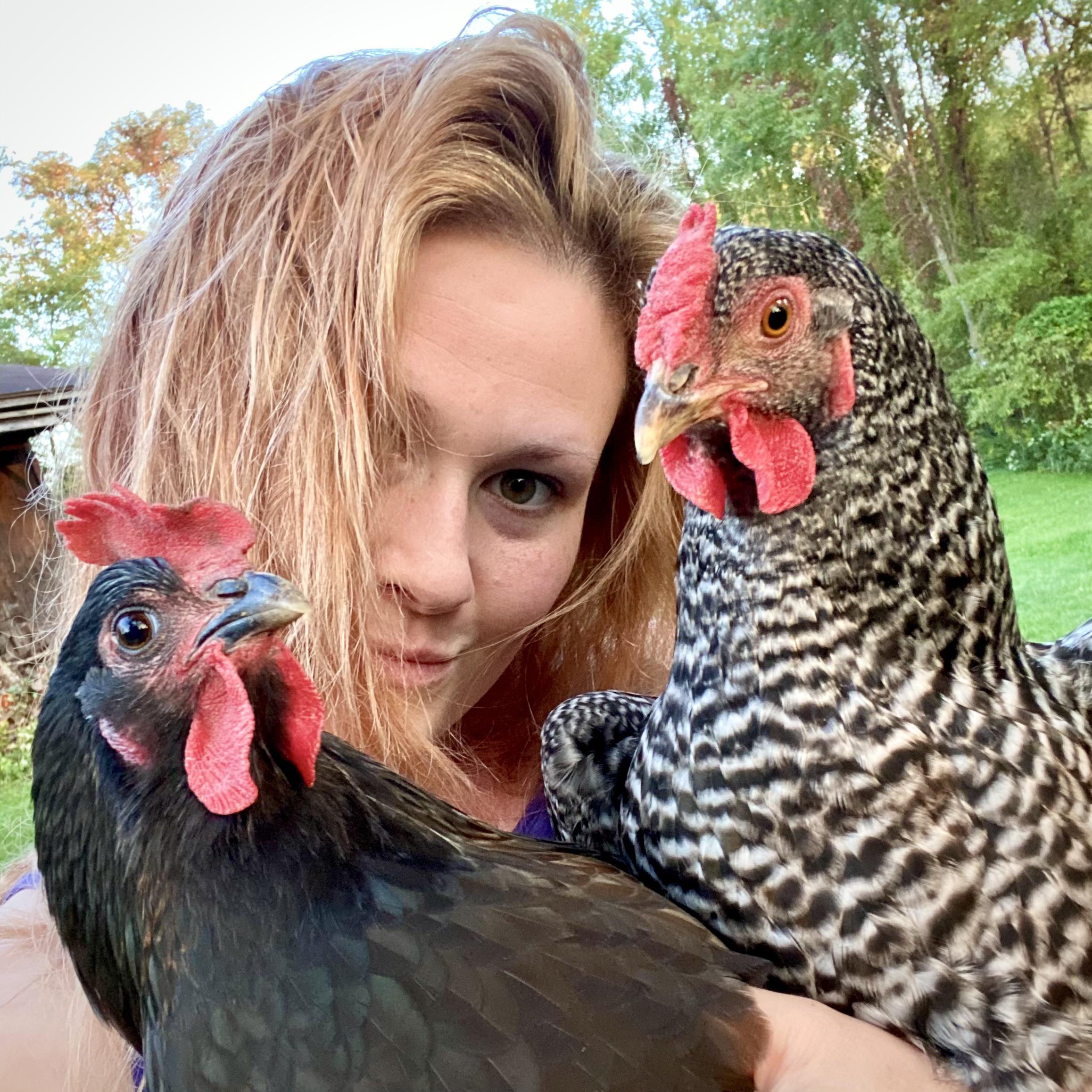 Chickens are better than people | Scrolller