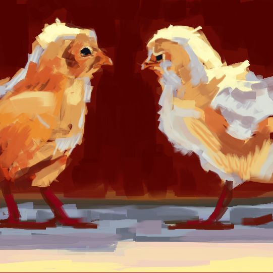 Chicks | Scrolller