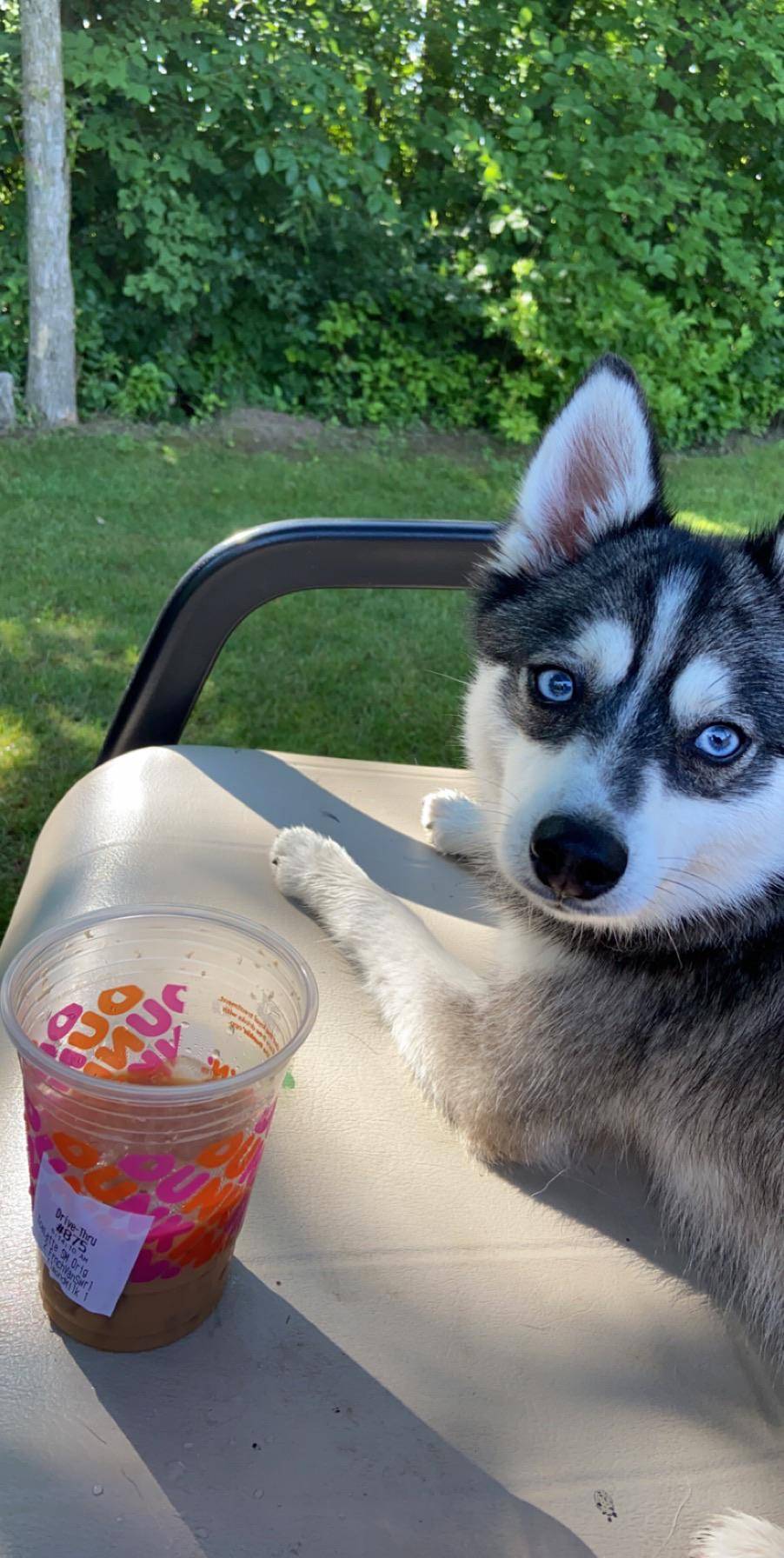 Chief and Chilled Coffee! Staring the day Awesome! | Scrolller