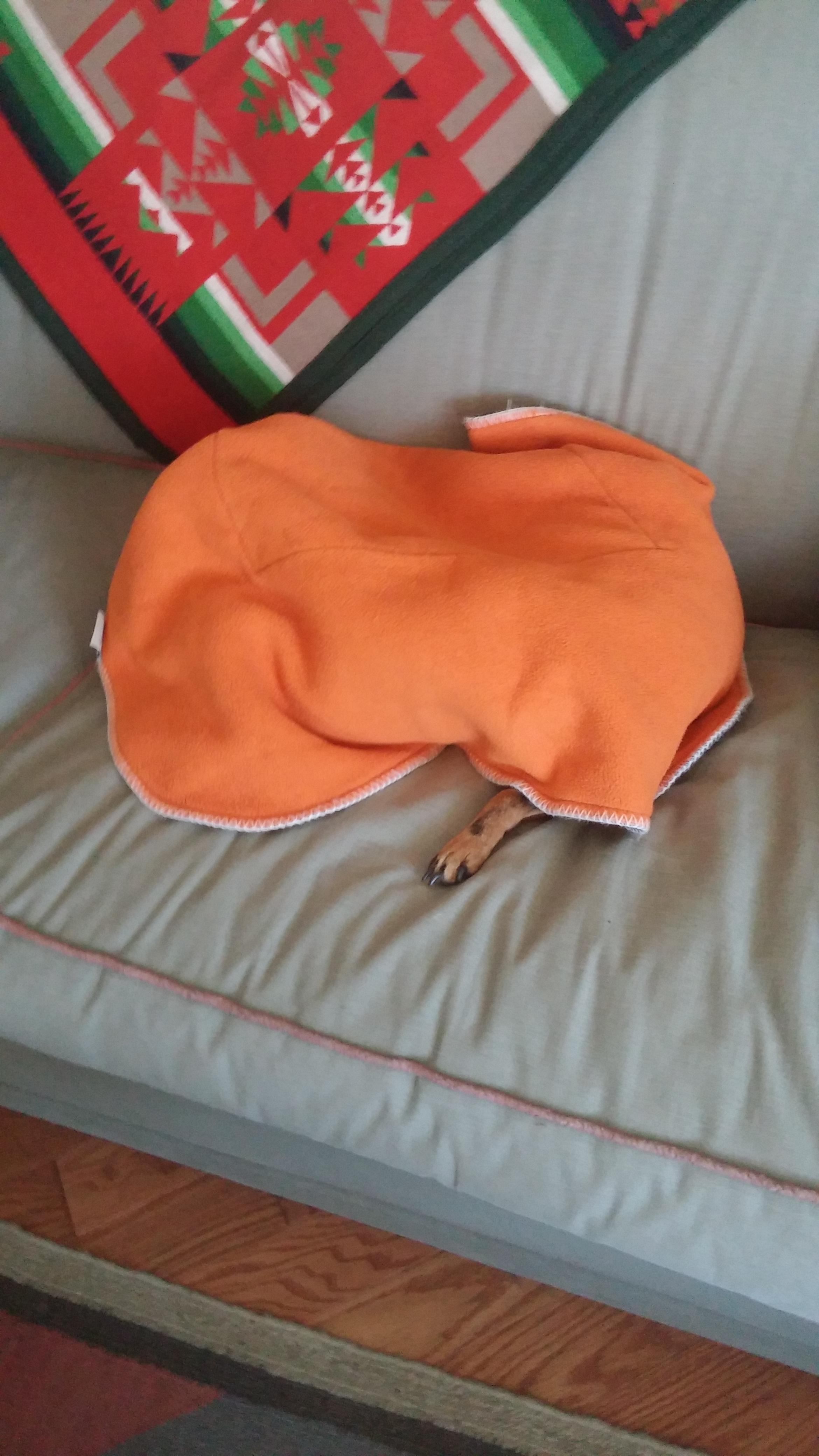 Chloe likes to tuck herself in | Scrolller