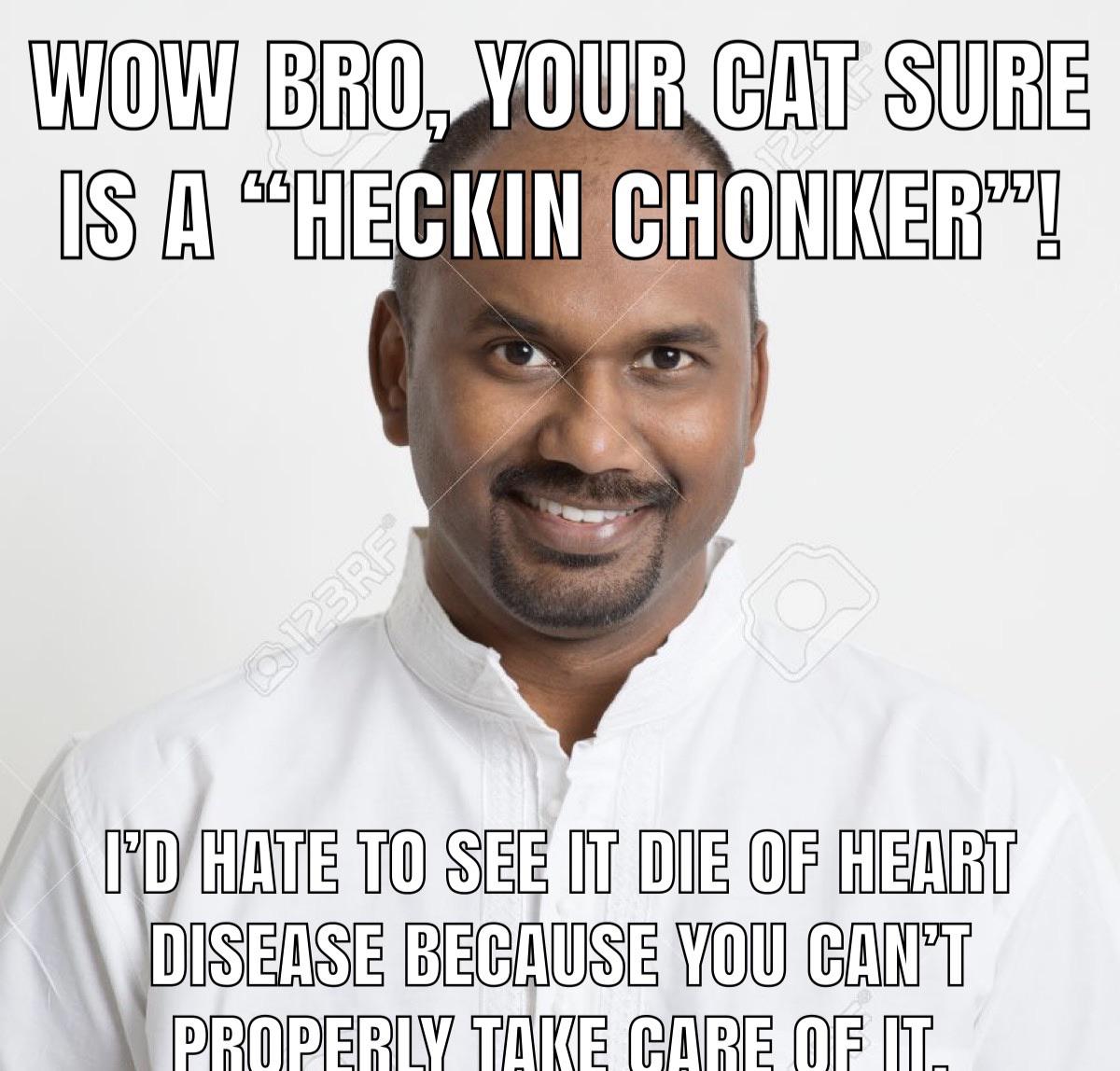 Chonk 100 | Scrolller