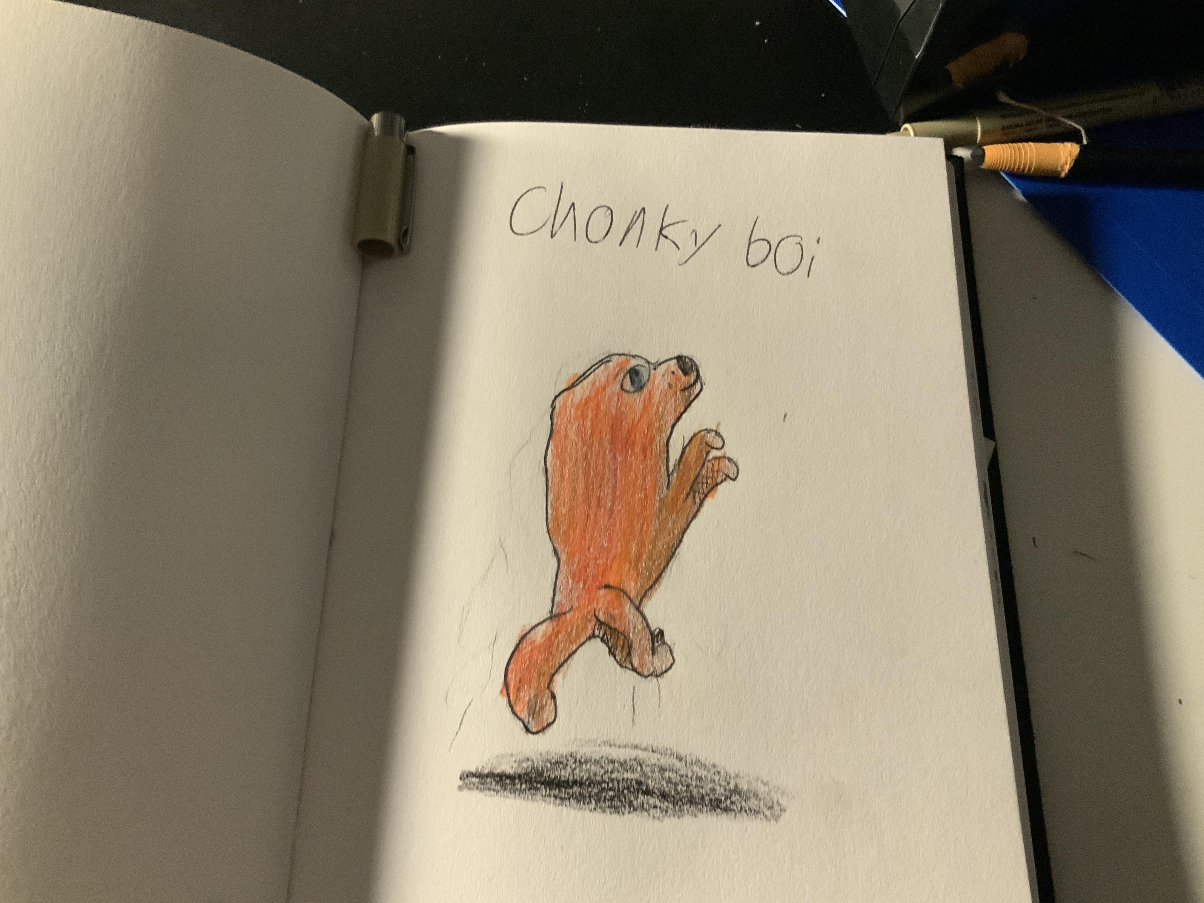 Chonky | Scrolller