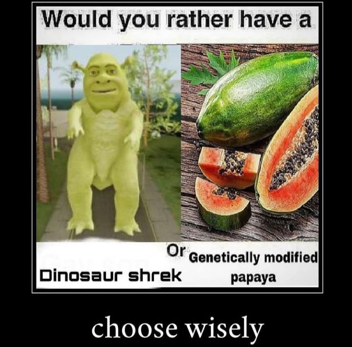 Choose wisely | Scrolller