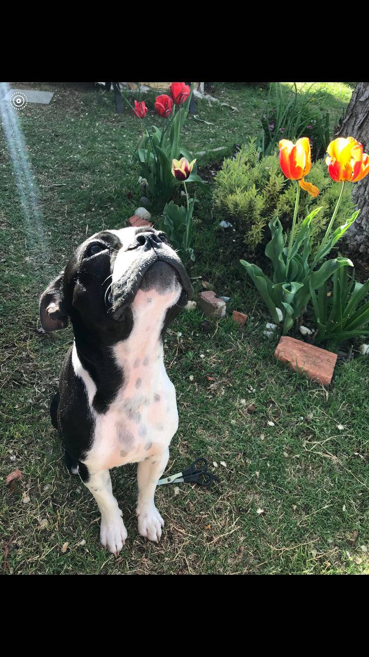 Chosen one! | Scrolller