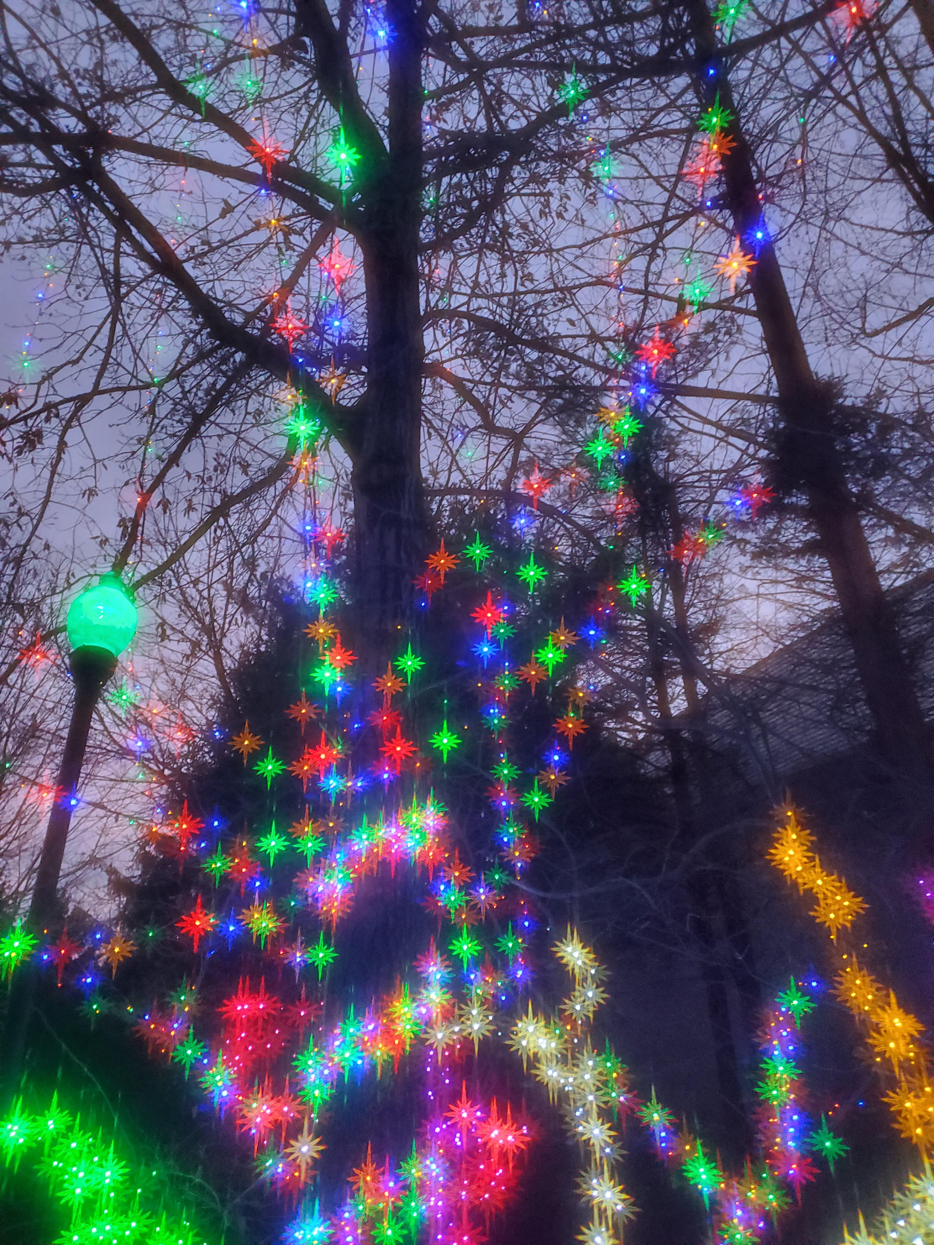 Christmas lights! | Scrolller